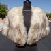 M 8-10 Real BLUE FOX Fur Stole Stoll Shawl Wrap, Ivory W Gray Tips, by ...