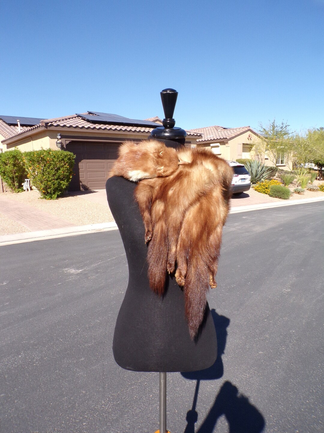 3 Pelt STONE MARTEN Sable Fitch Mink Scarf Scarves Collar Boa Stole ...