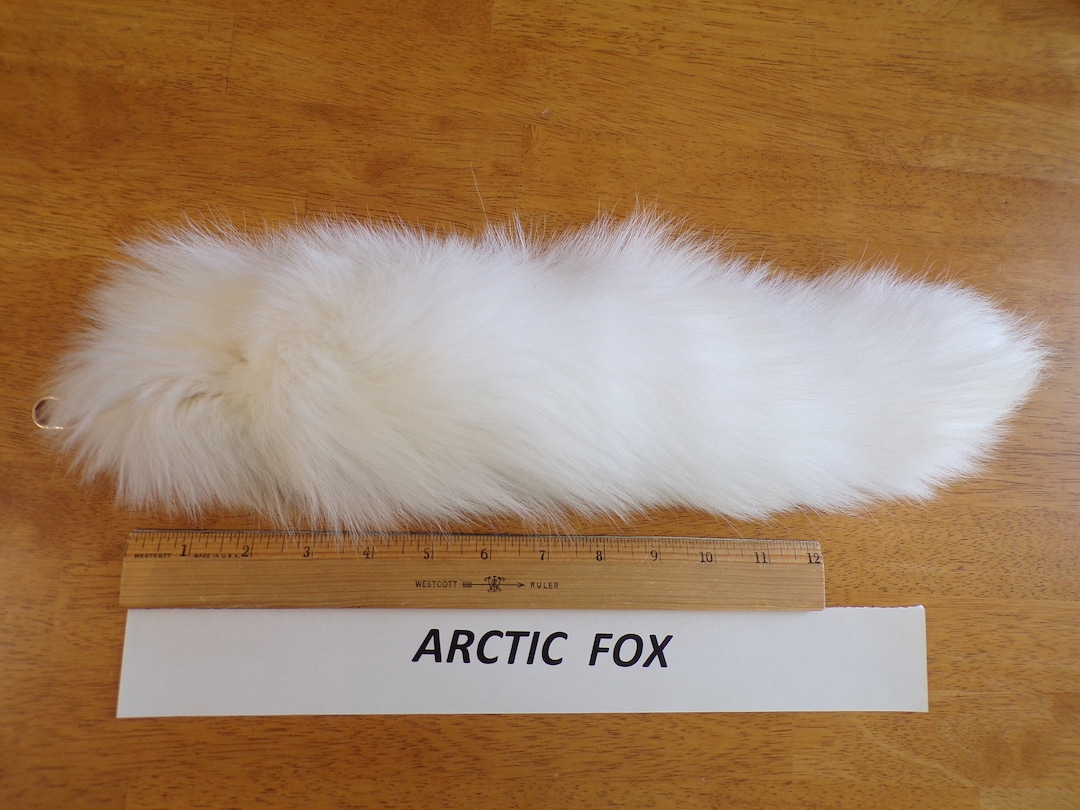 XL White Arctic FOX TAIL Keychain Purse Charm, (bleached) White Fur Fox ...