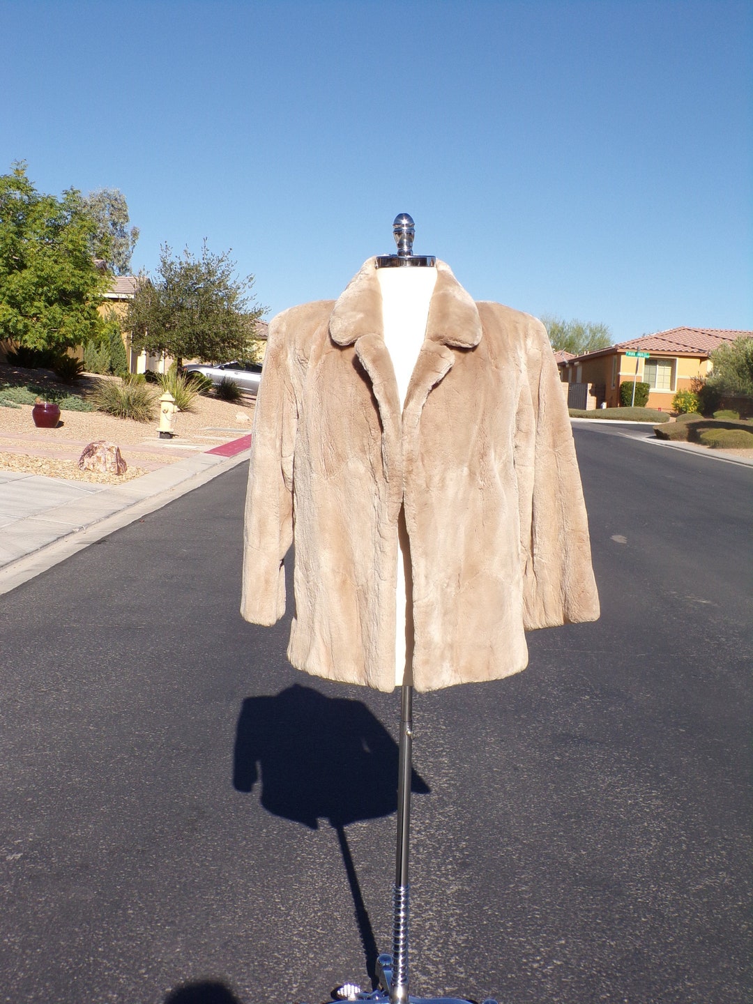 L-P (12P) Real SHEARED BEAVER Jacket Hip-length, Blonde Beaver ...