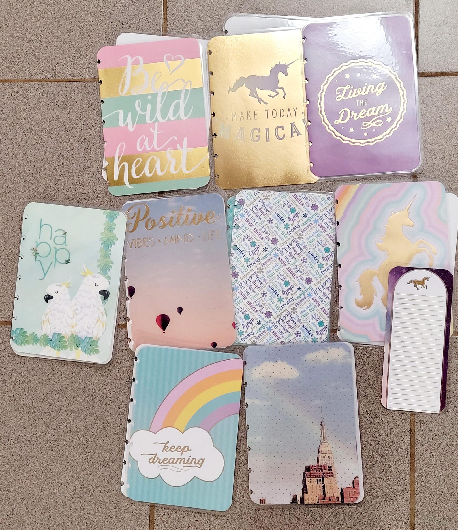 Lot of Custom Laminated Disc Planner Covers - Etsy
