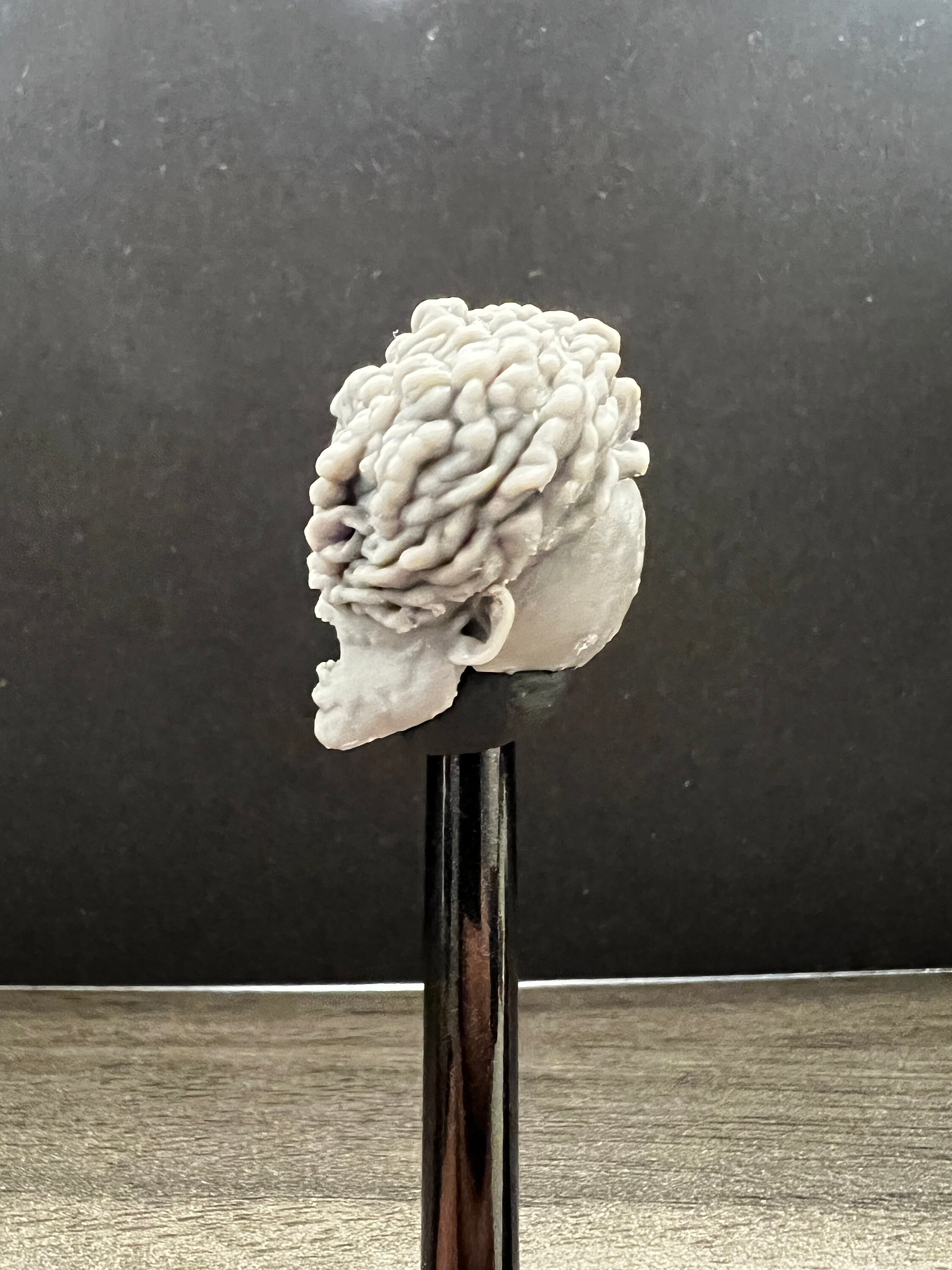 Last of Us Clicker Head 1/12 and 1/10 Scale - Etsy