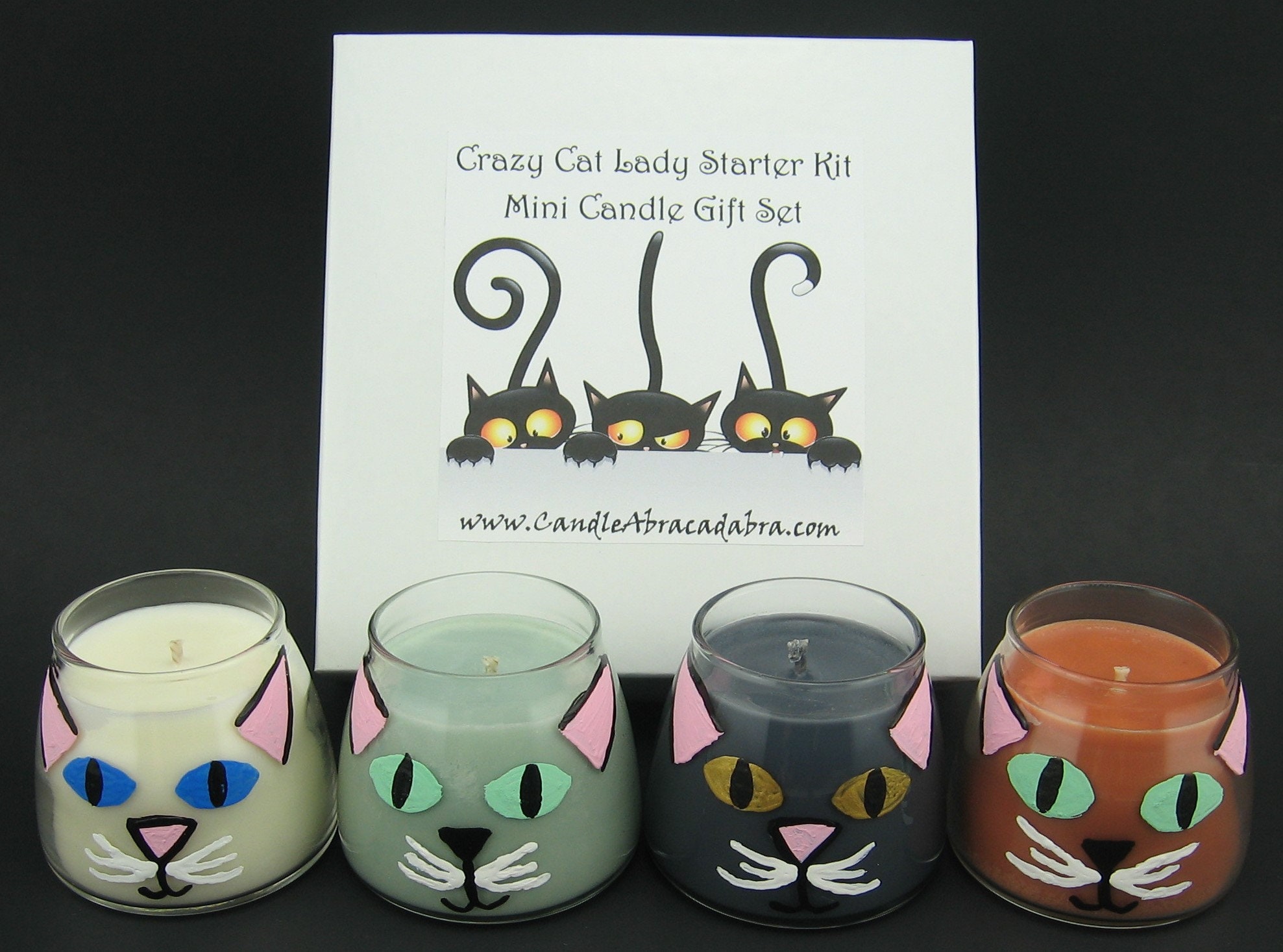 Crazy Cat Lady Starter Kit Envelope