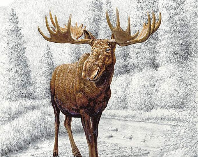 Big Game Moose Pencil Painting Panel by Riley Blake Designs - Etsy