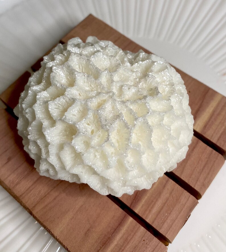 Coral Soap Realistic 3D Coral Nautical Soap Favor Seashell - Etsy