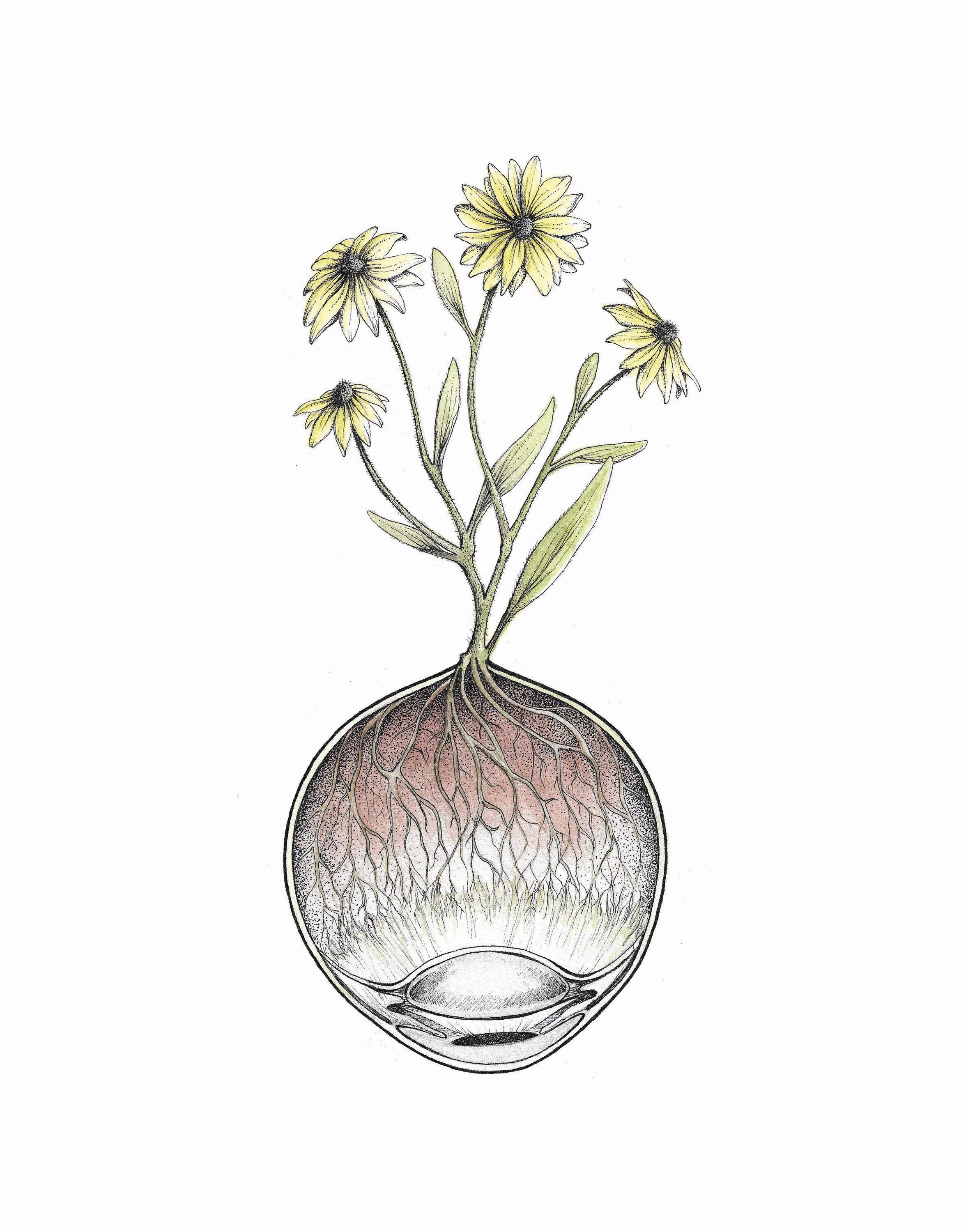 Watercolor Flower Growing Out of Eye Anatomical Illustration, Office ...