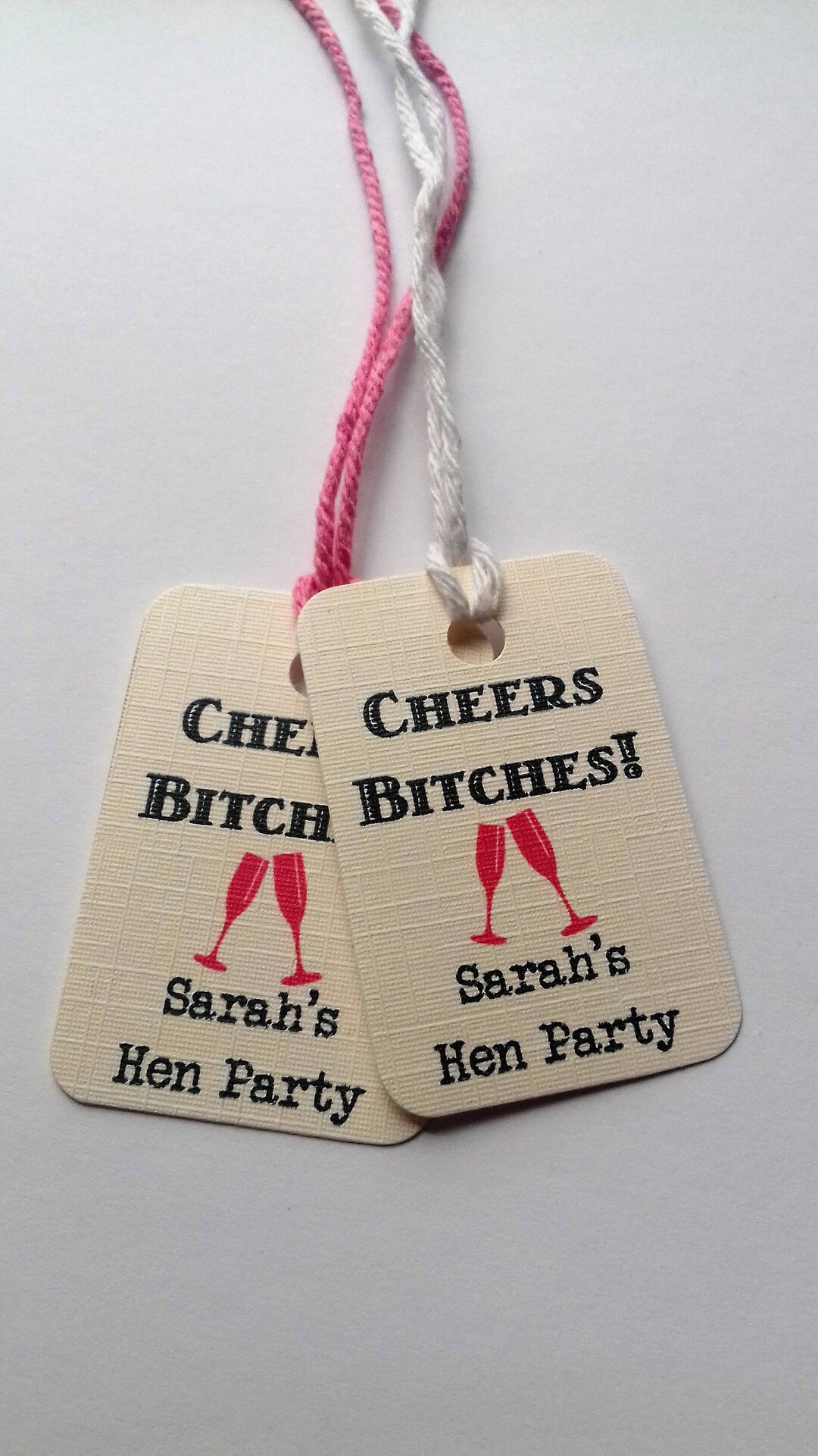 Hen Party Tags, Cheers Bitches Tags, Hen Party Gift Bag Tags, Hangover ...