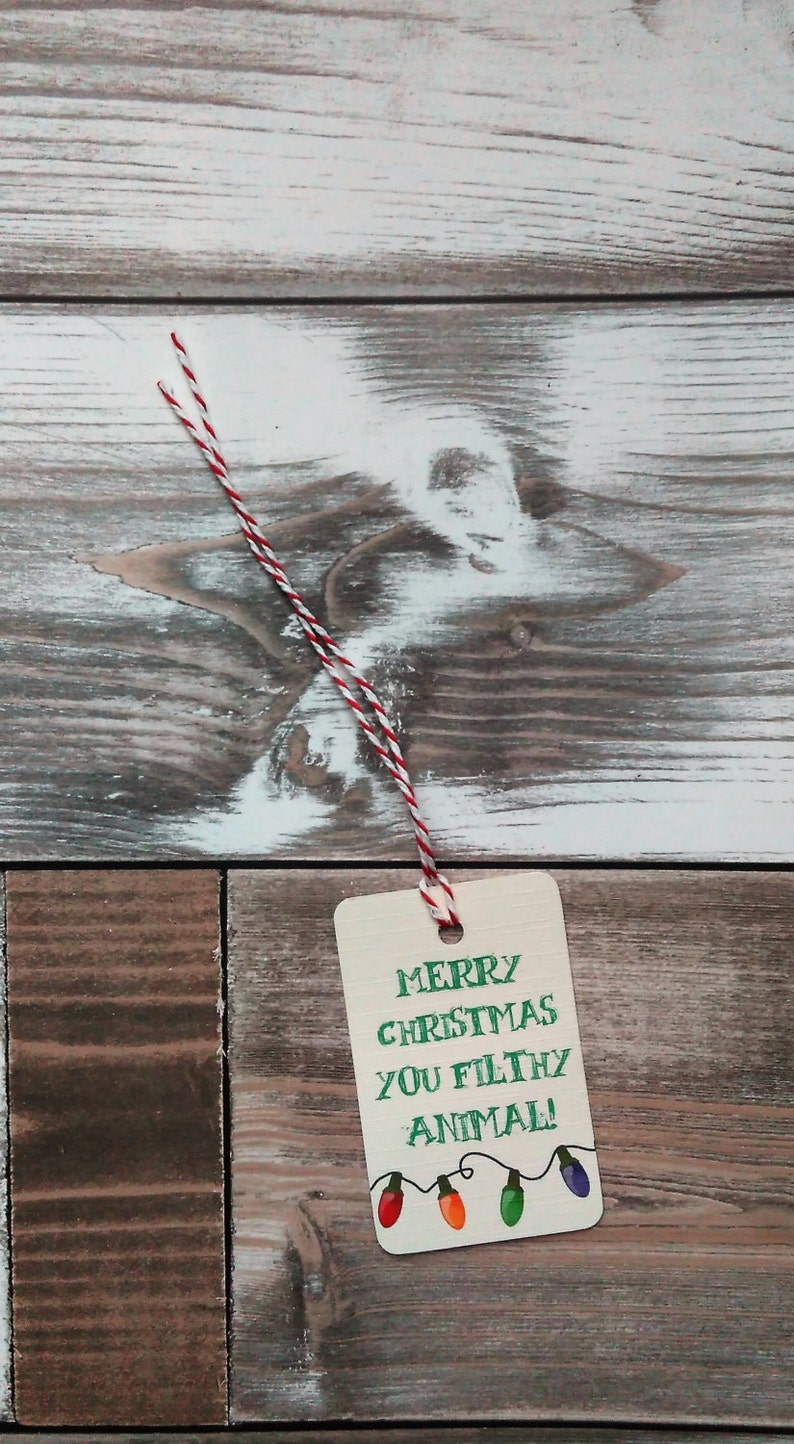 Funny Christmas gift tags Rude Christmas gift tags Filthy | Etsy