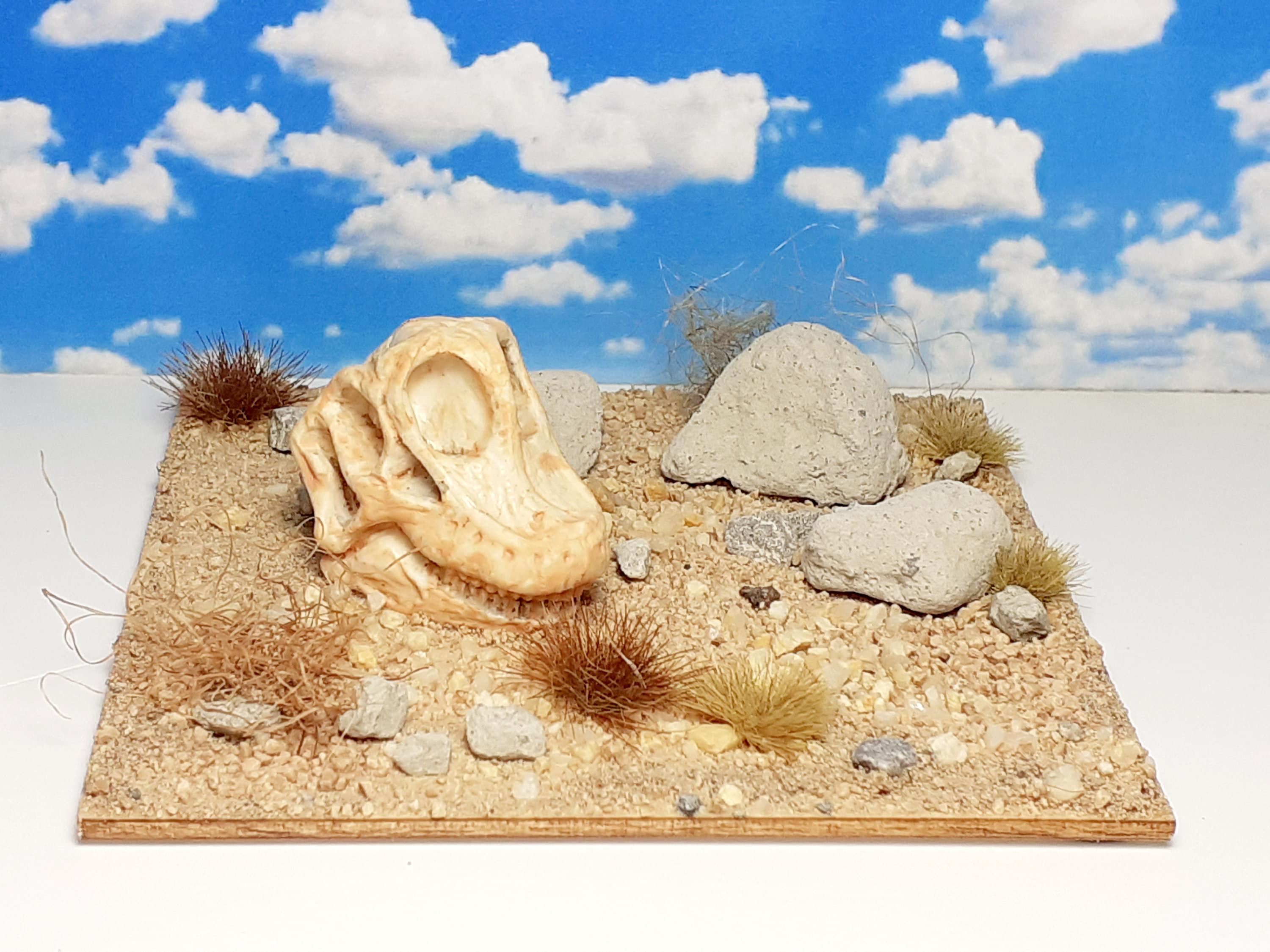 Desert Diorama | Dinosaur Skull | Desk Shelf Display Art | Handmade ...