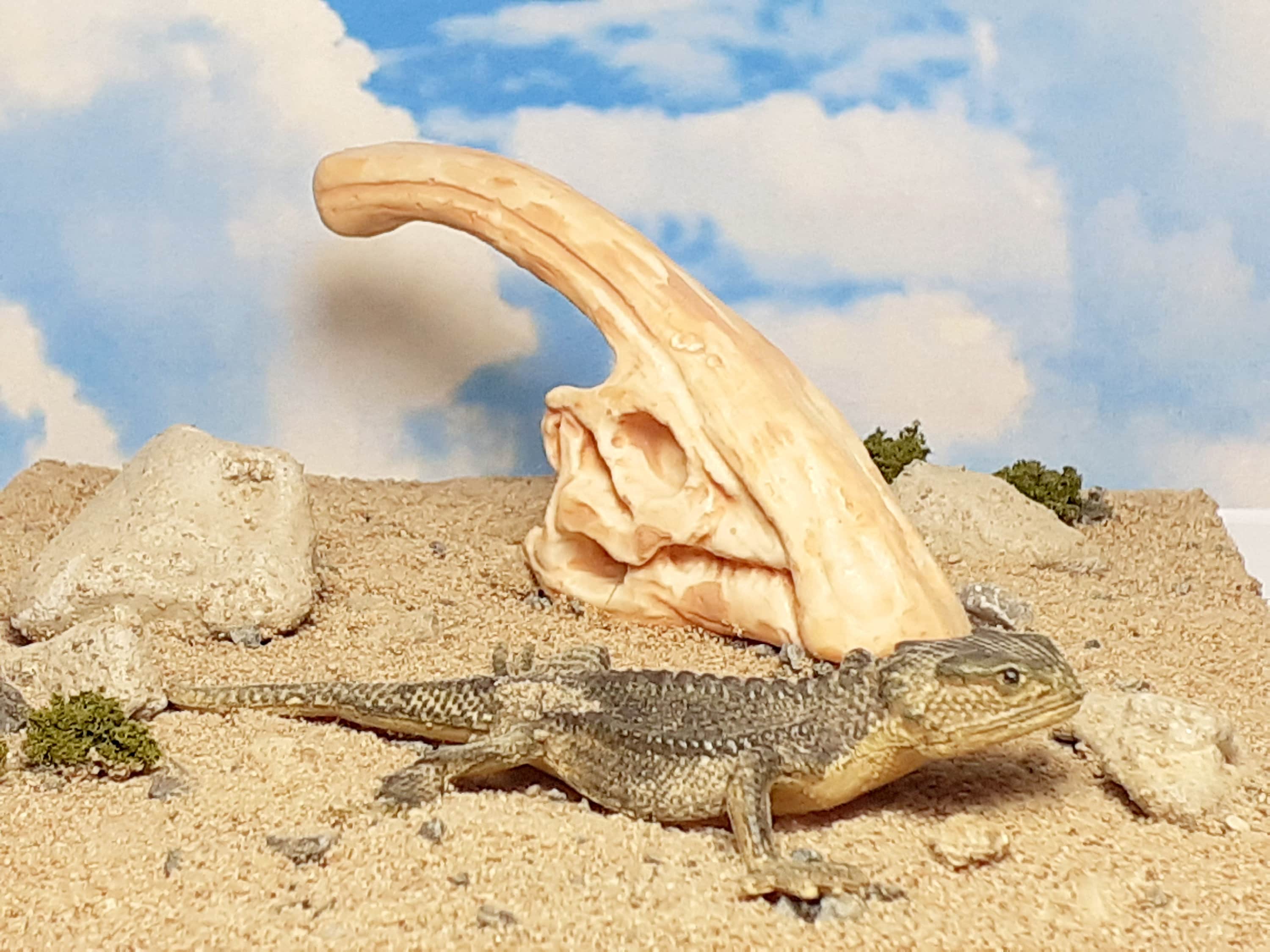 Handmade Desert Dinosaur Skull / Lizard Scenic Diorama - Etsy