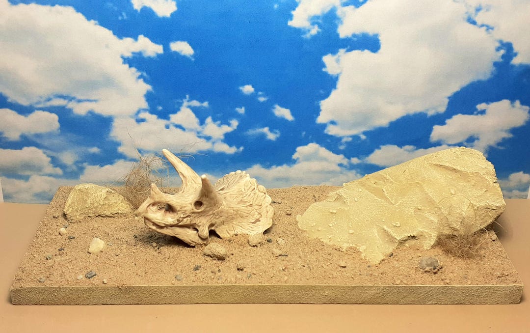 Desert Diorama | Dinosaur Skull | Desk / Shelf Display Art | Handmade ...