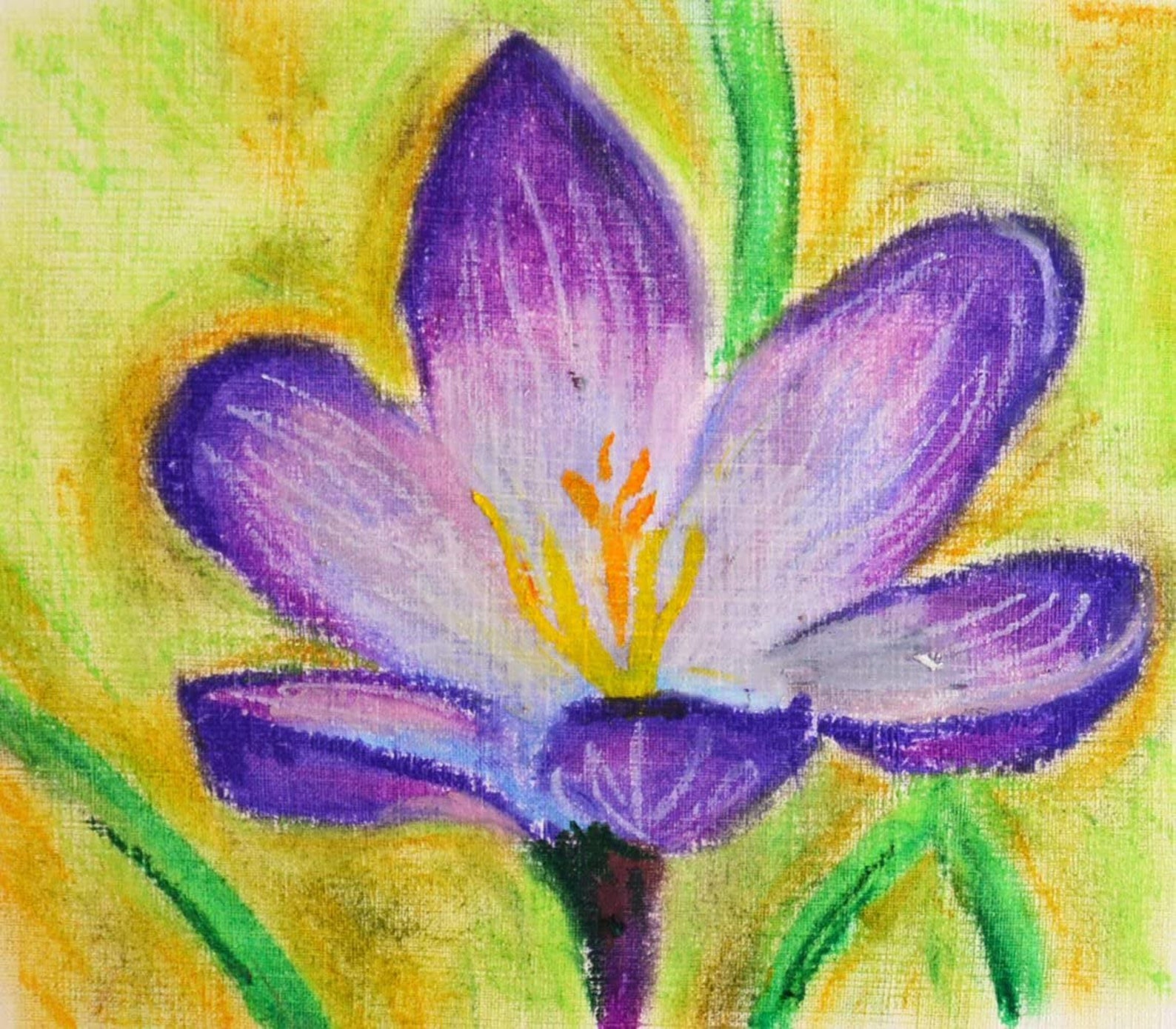 Pentel Artist's Pastels Pack of 50 Vivid Colours | Etsy UK