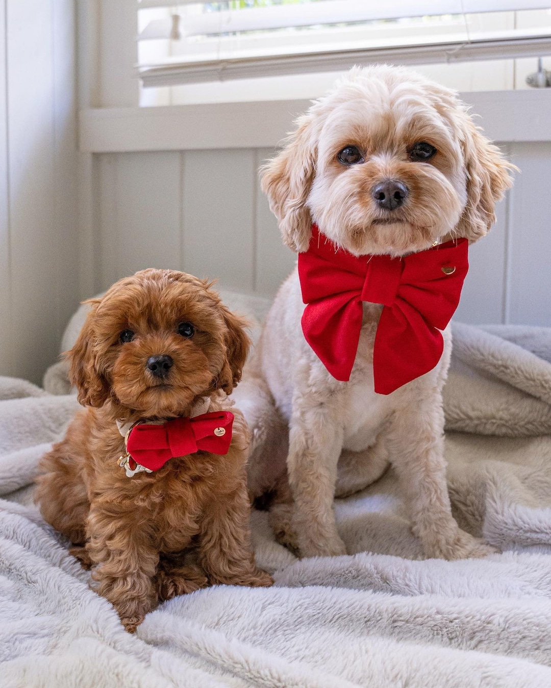 Velvet Dog Sailor Bow Tie // Collar // Red // Christmas - Etsy
