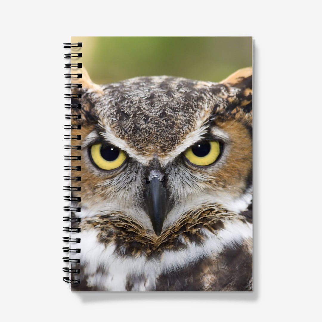 A5 Spiral Notebook Featuring Horned Owl. Great Horned Owl Design ...