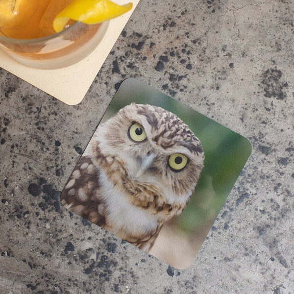 Owl Coasters - Etsy
