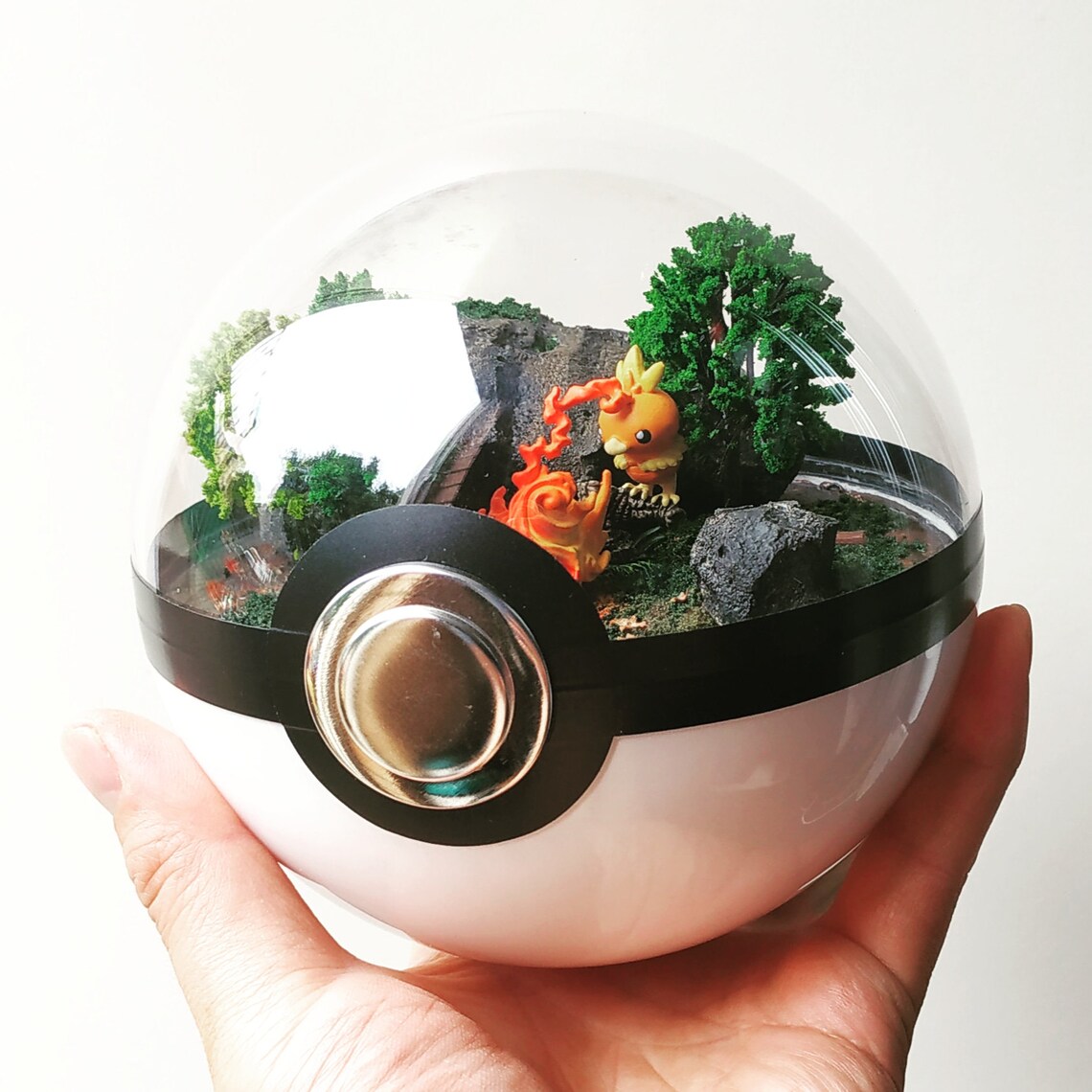 Fan Art TORCHIC (large 5.5inch) Pokeball Diorama Terrarium - Etsy