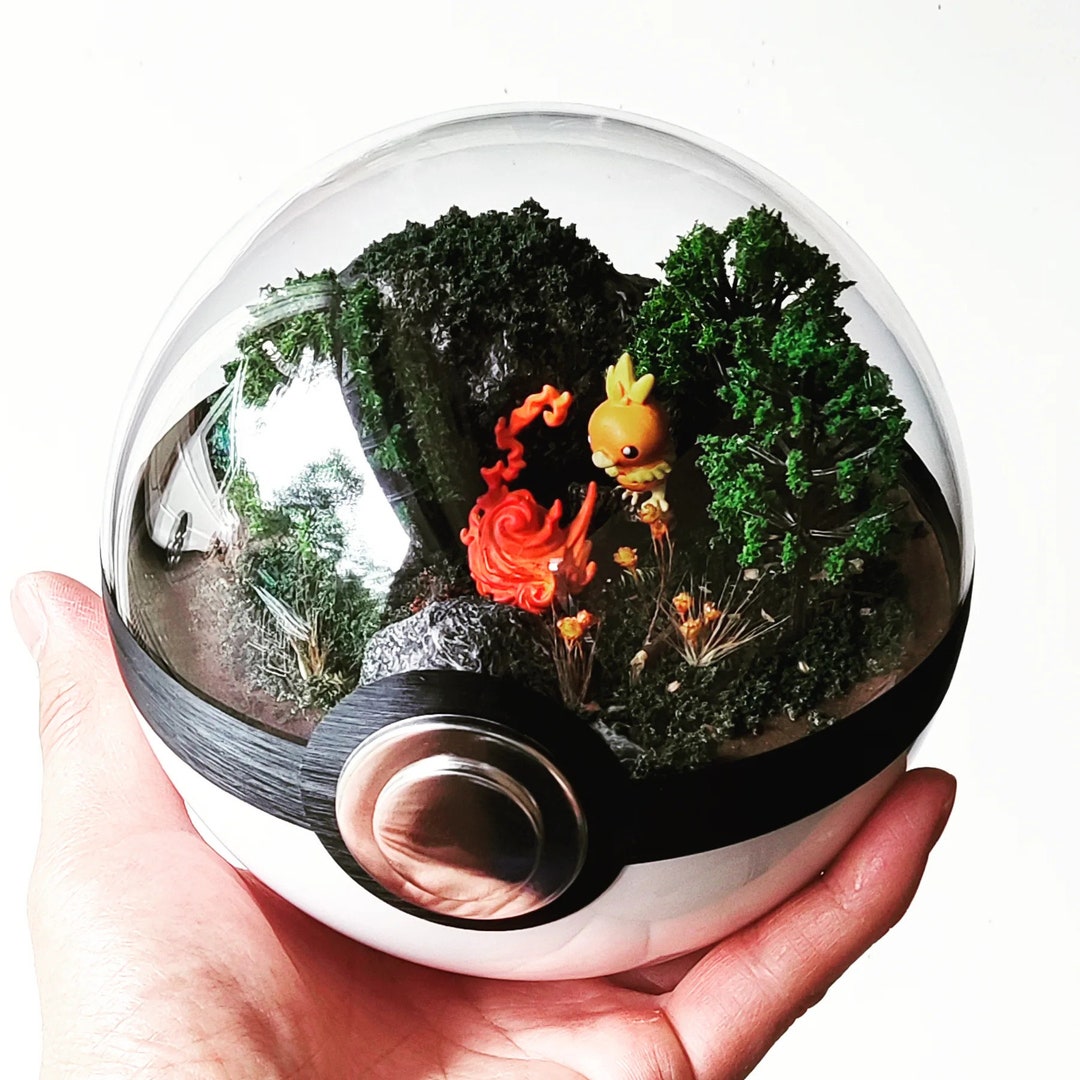 Fan Art TORCHIC (large 5.5inch) Pokeball Diorama Terrarium - Etsy