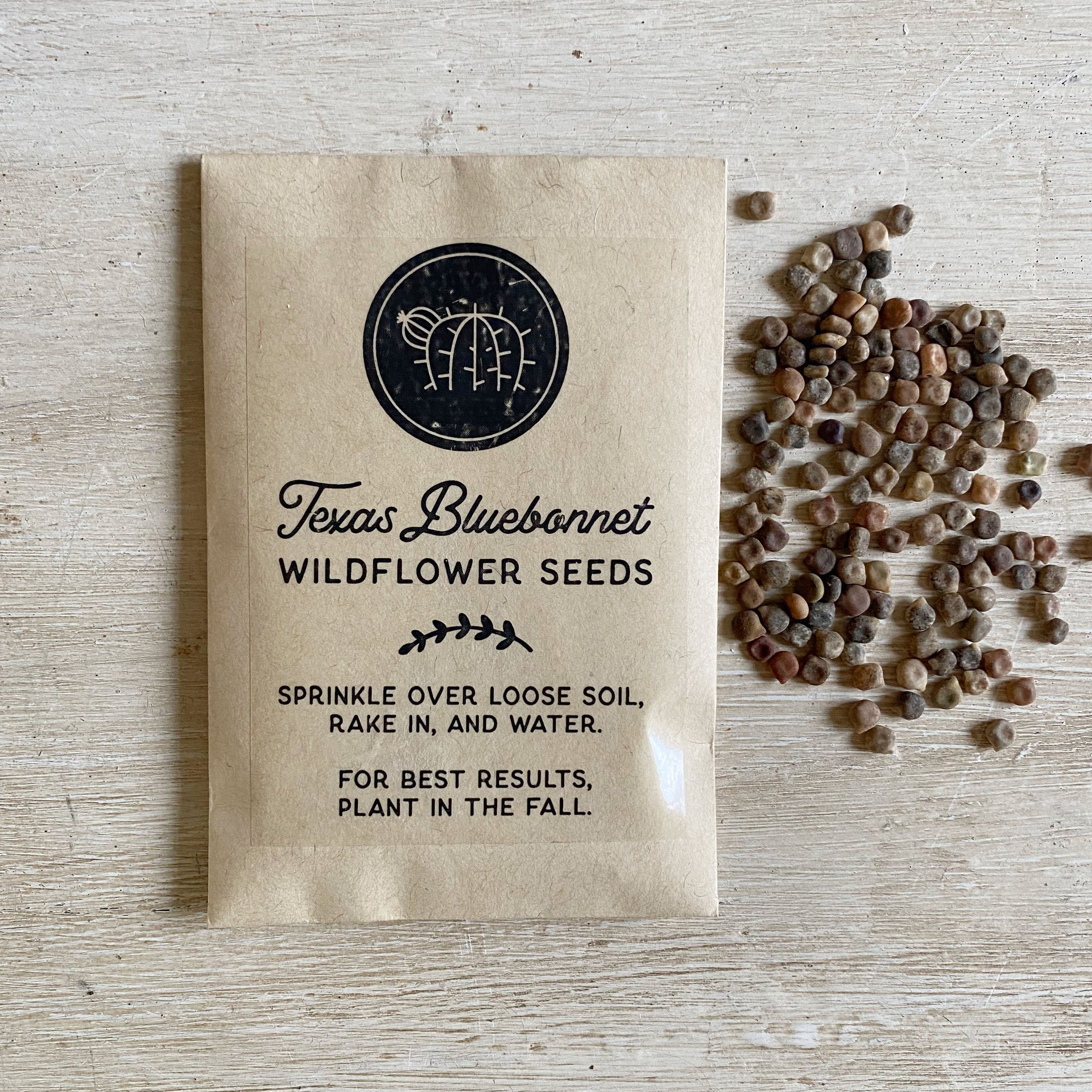 Texas Bluebonnet Gift Box - Etsy