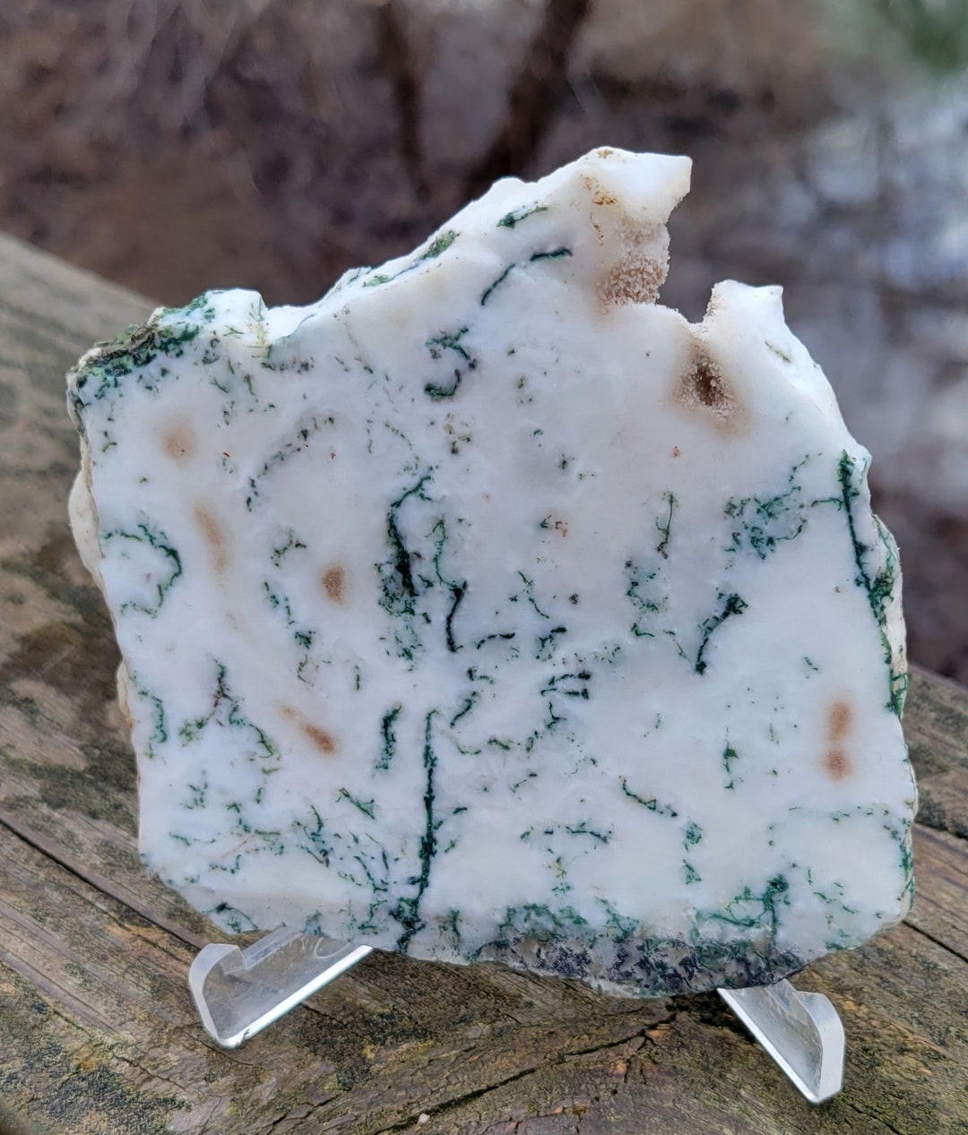 India Tree Agate Slab: Rough Cut Stone for Jewelry - Etsy