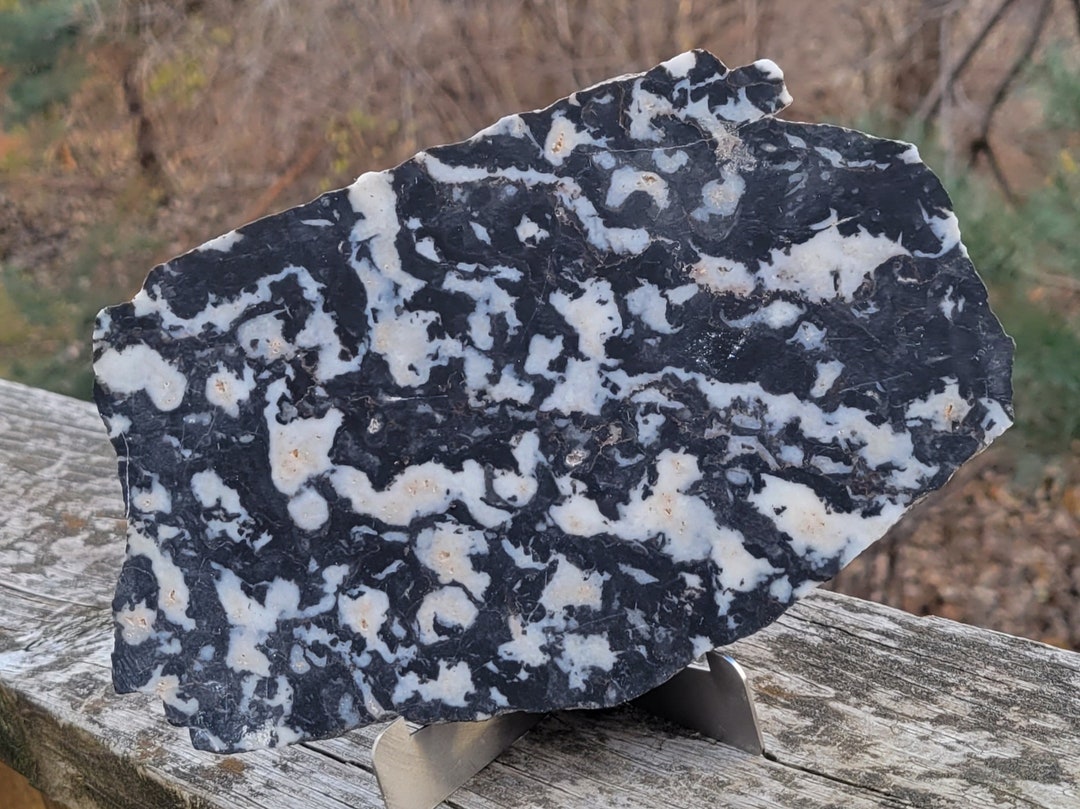 A Unique Rough Slab of Black and White Zebra Jasper - Etsy