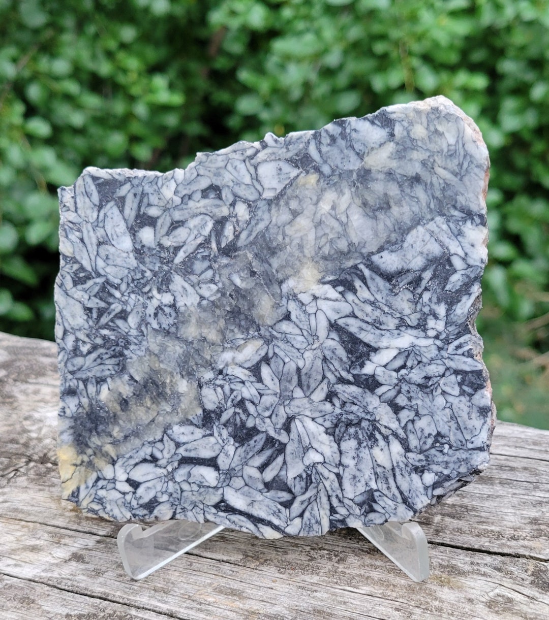 A Rare Rough Slab of Austrian Pinolith - Etsy