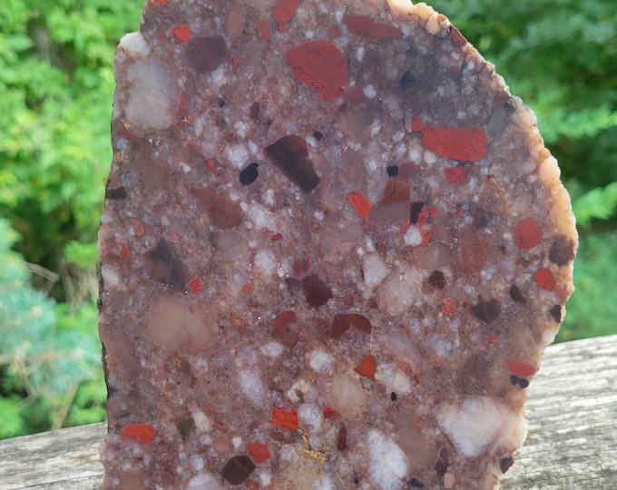 A Large Loaded Rough Slab of Michigan Pudding Stone - Etsy