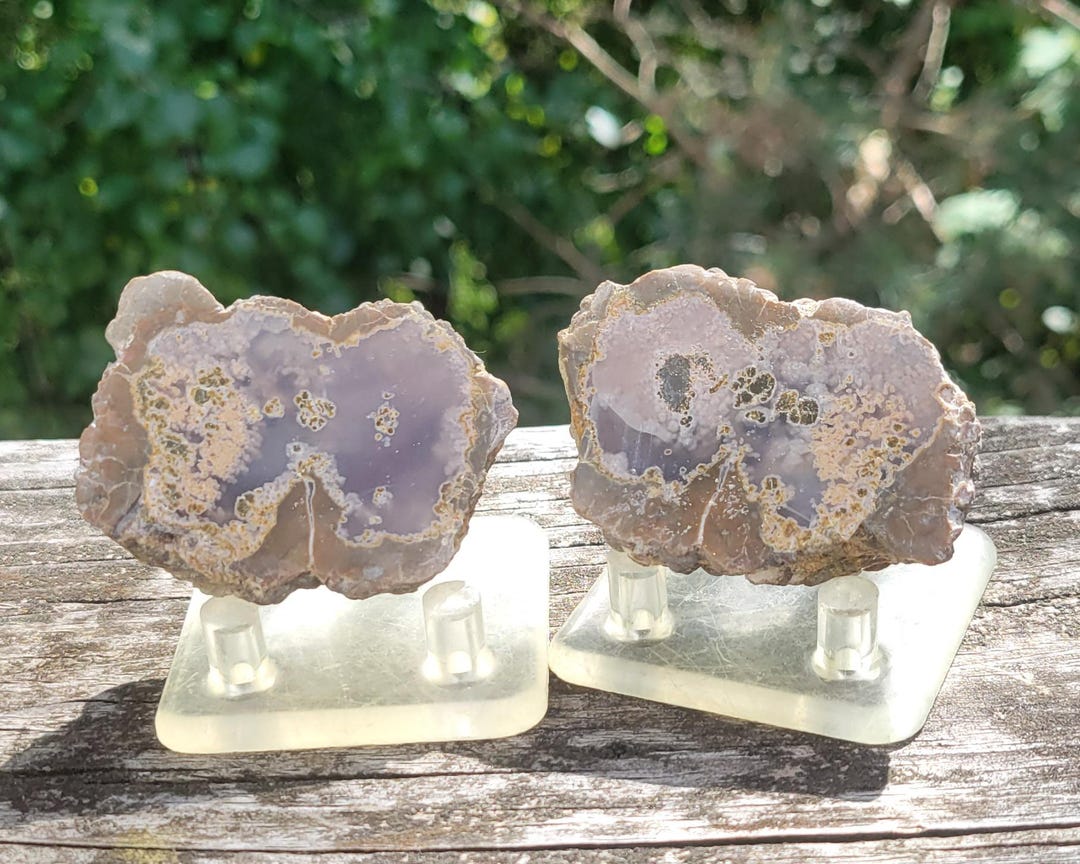 A Gem Quality Pair of Polished Opal Thunder Eggs thundereggs - Etsy