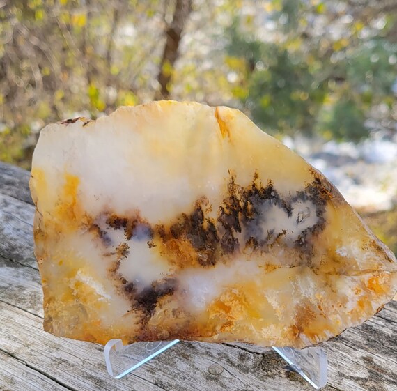 Graveyard Point Plume Agate