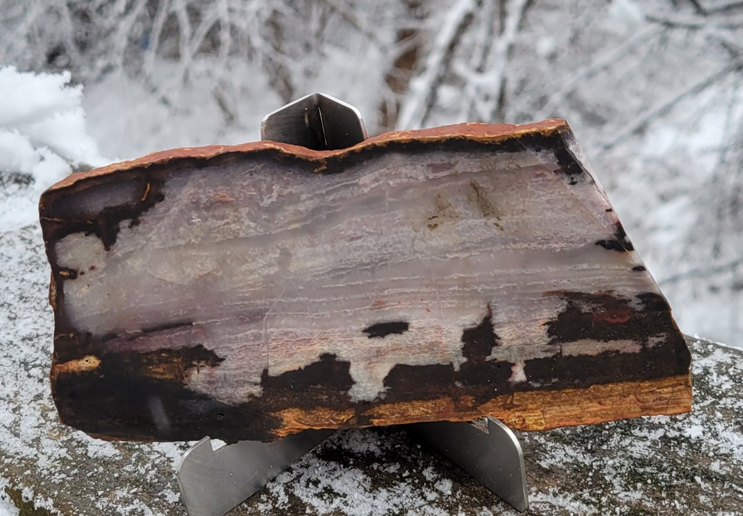 A Dazzling Rough Slab of Outback Jasper - Etsy