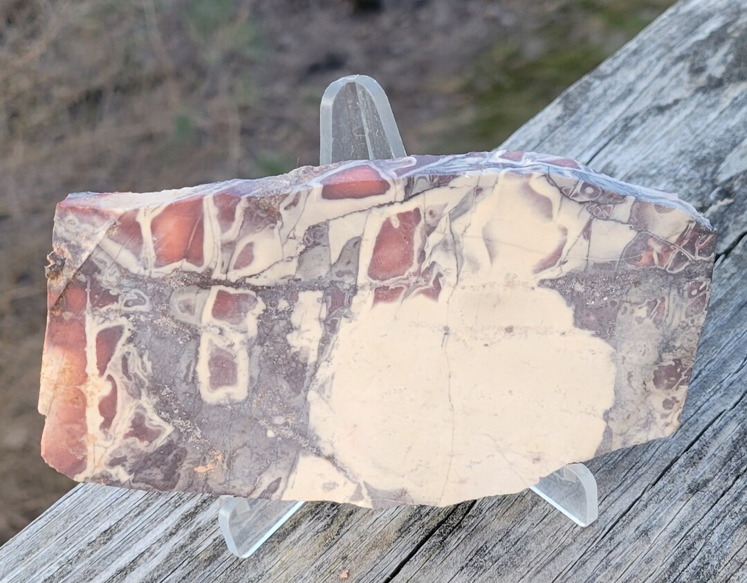 An Outstanding Rough Slab of Porcelain Jasper - Etsy