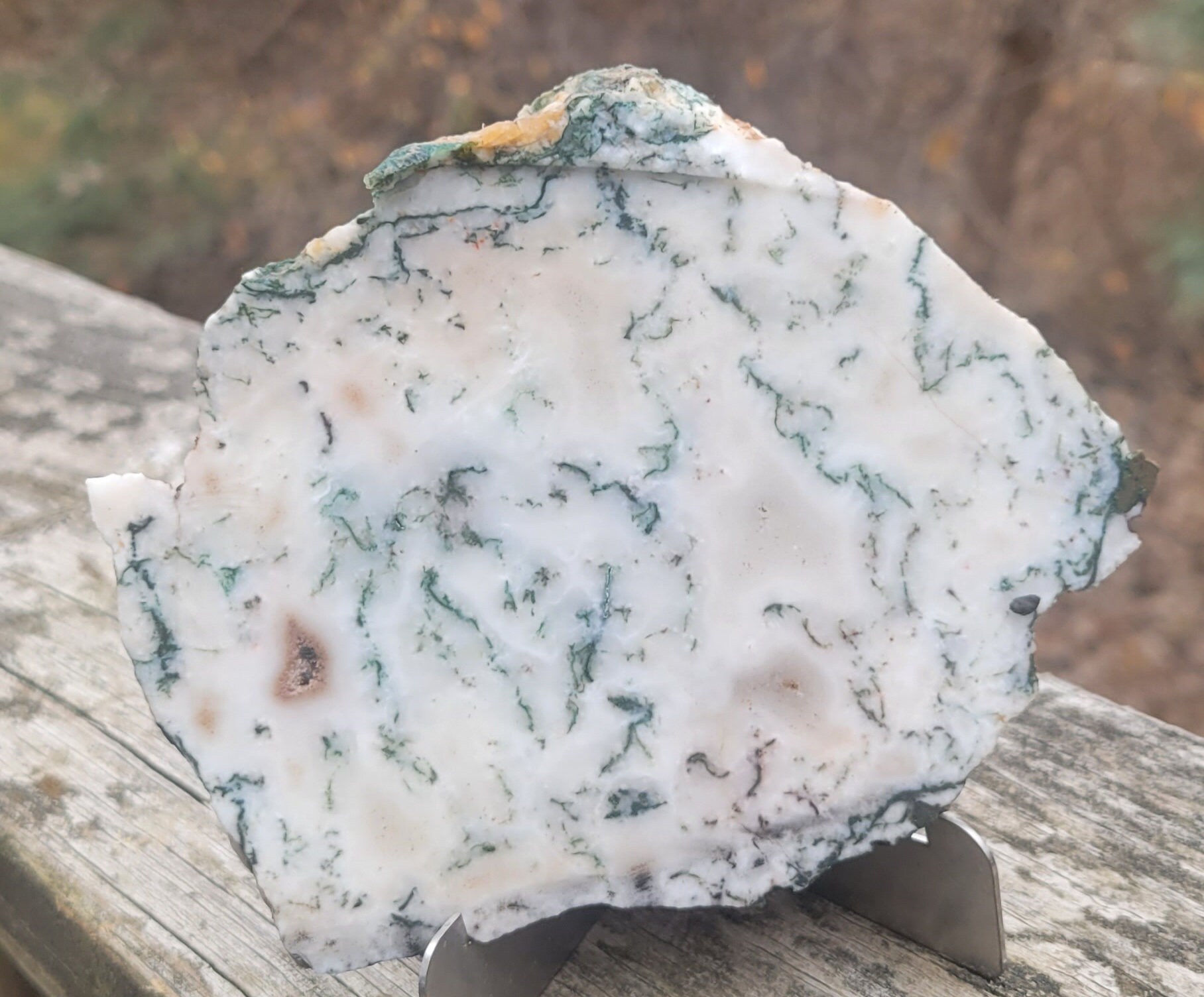 An Outstanding Rough Slab of Indian Tree Agate - Etsy