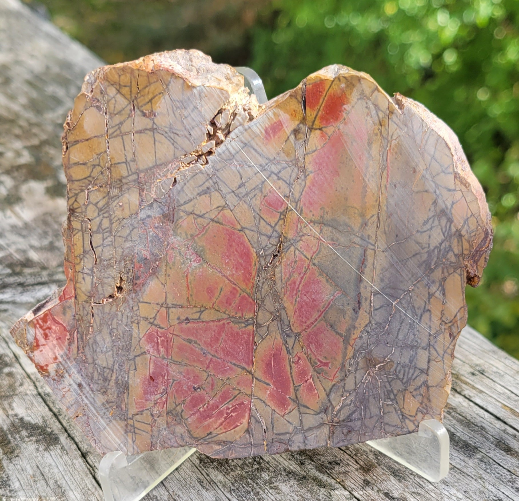 A Colorful Rough Slab of Cherry Creek Jasper - Etsy