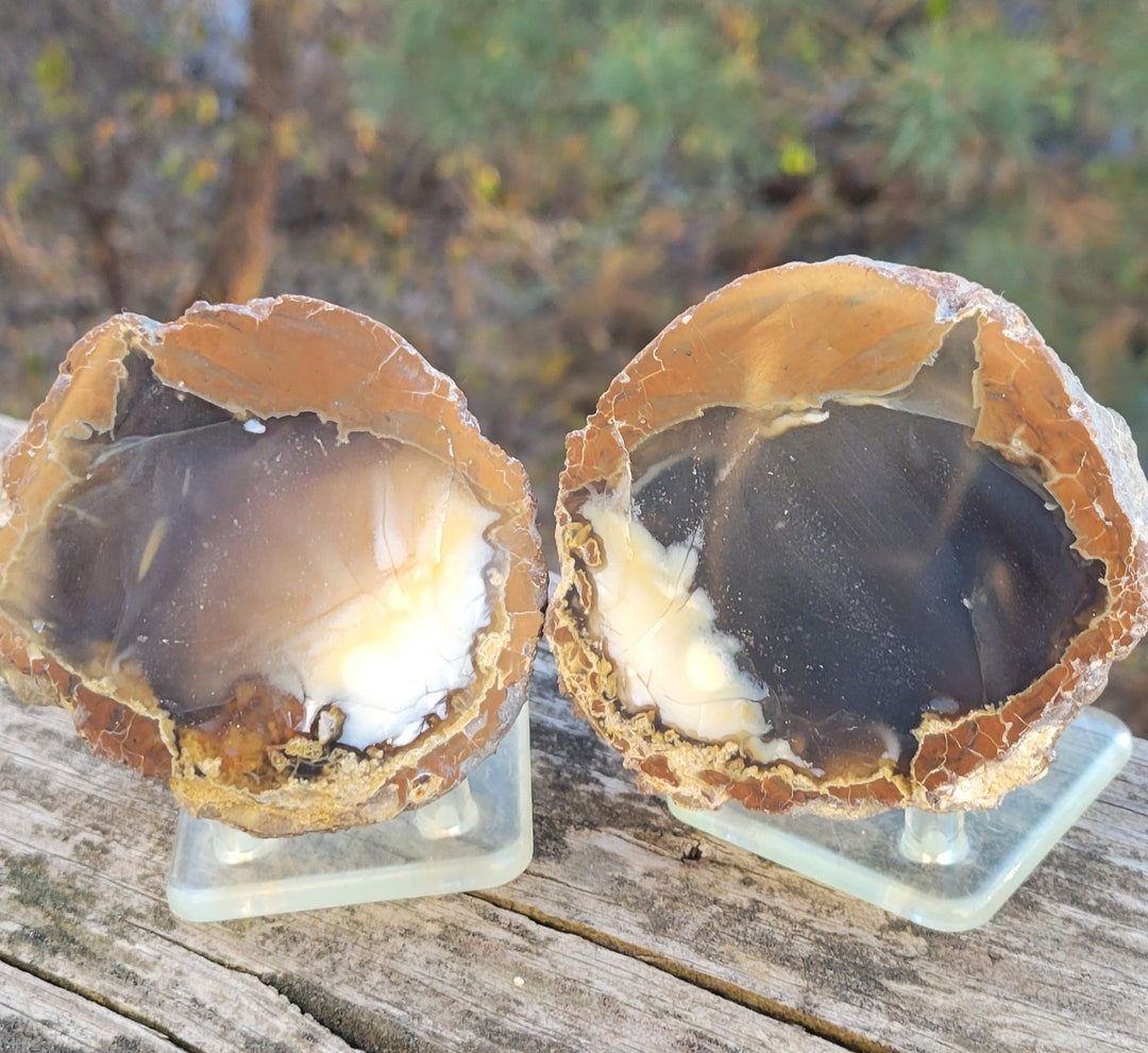 A Large Pair of Polished Thunder Eggs thundereggs - Etsy