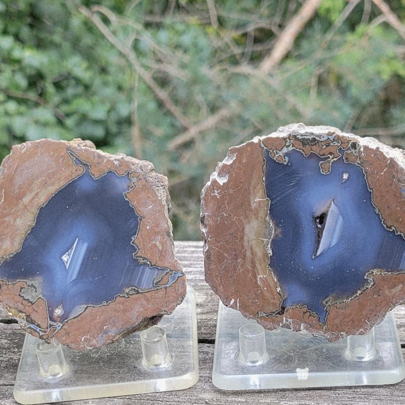 Polished Oregon Thunderegg - Etsy