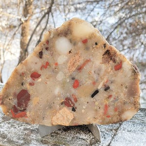 A Loaded Rough Slab of Michigan Pudding Stone - Etsy