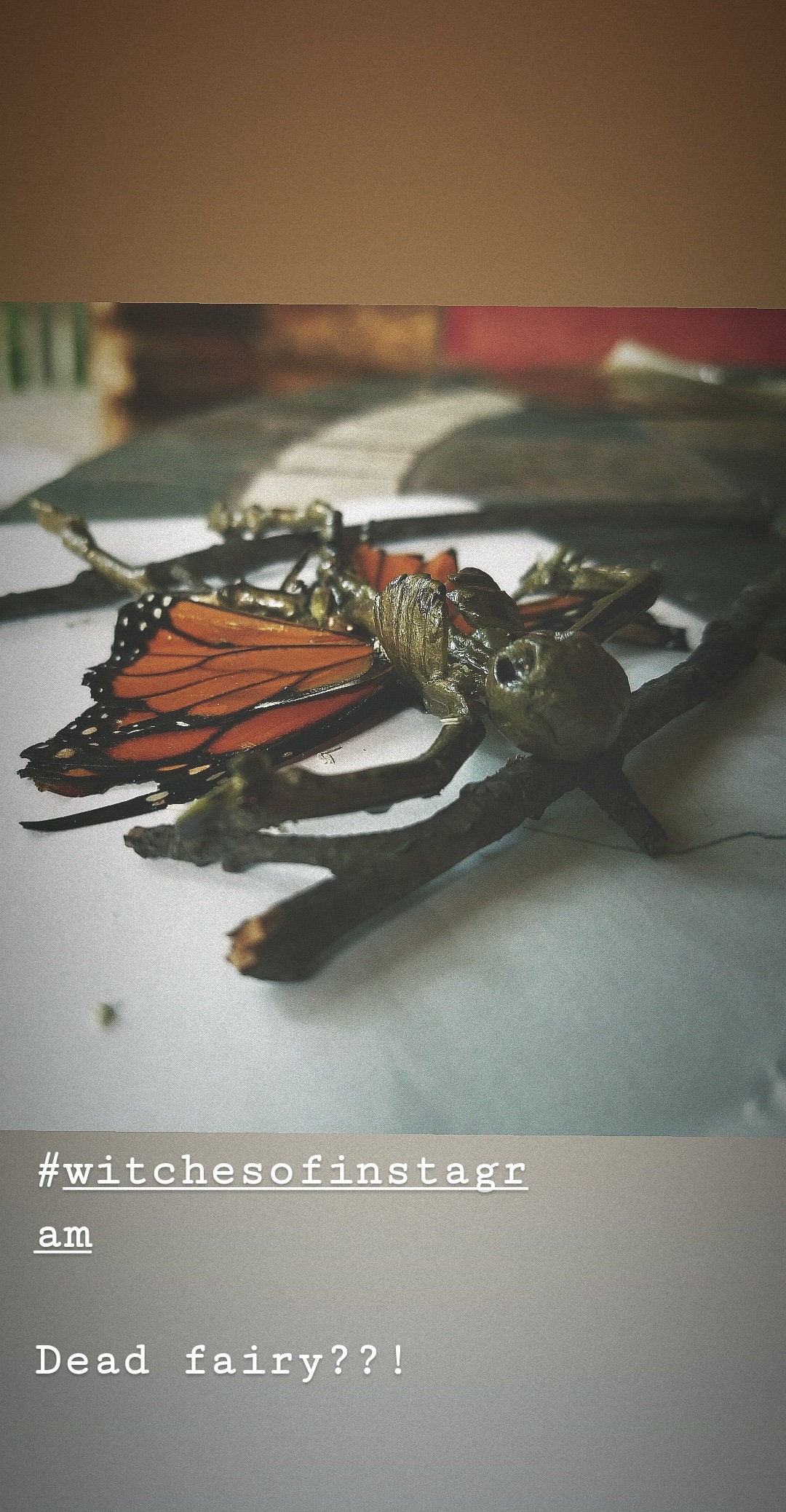 Faerie Skeleton With 'insect' Wings - Etsy Denmark