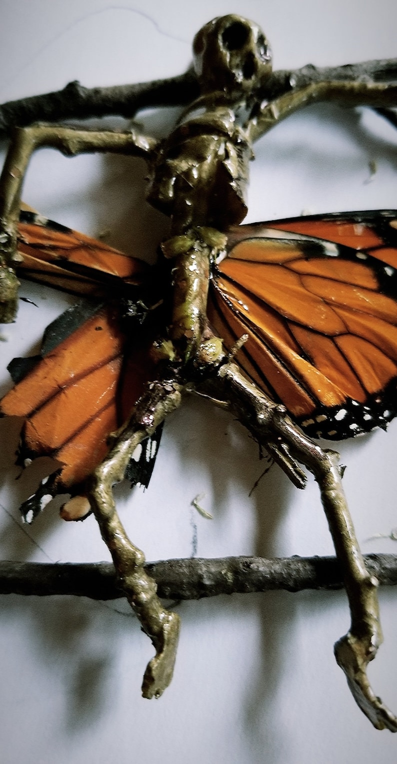 Faerie Skeleton With 'insect' Wings - Etsy Denmark