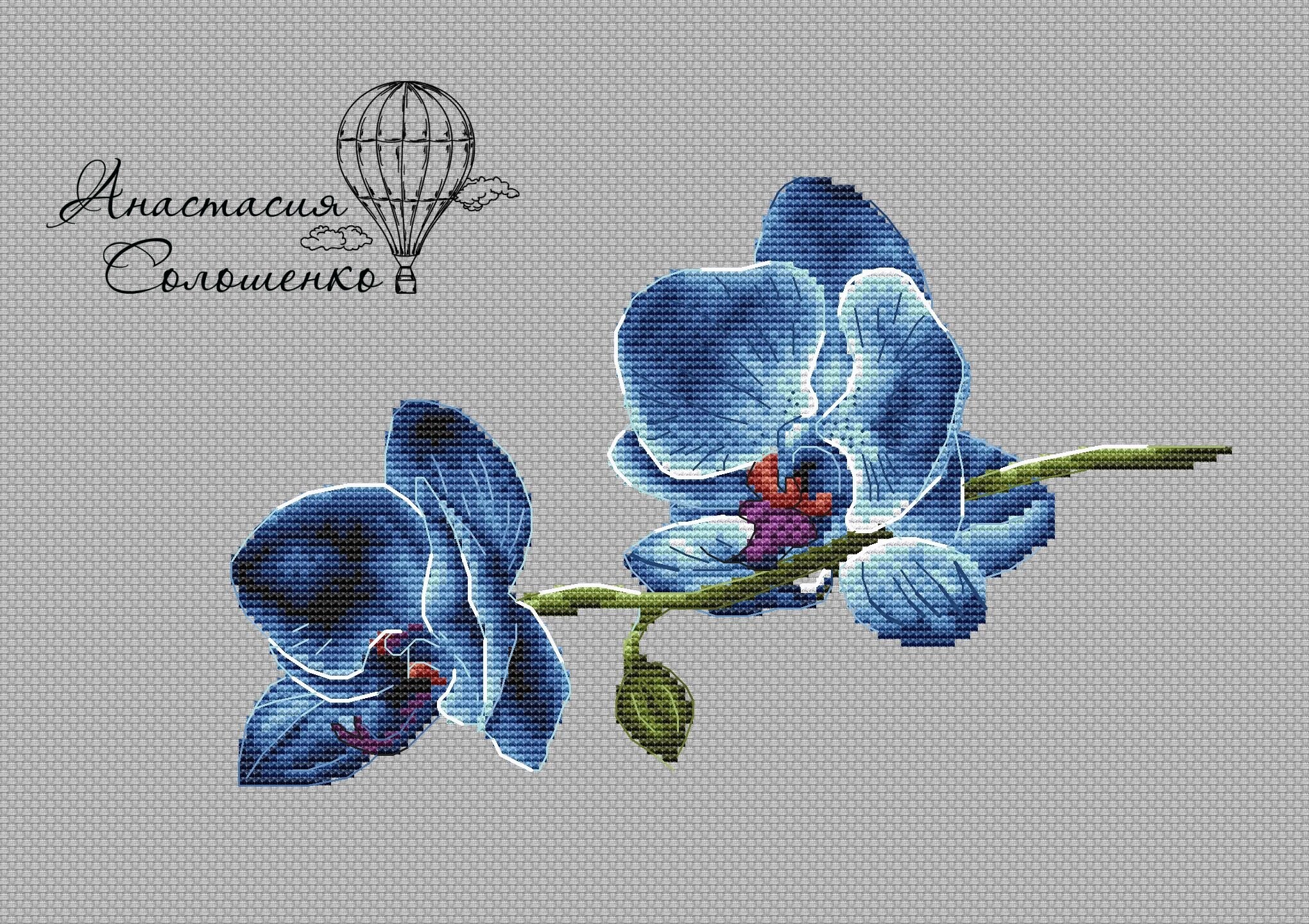 Cross-stitch Scheme Orchid Embroidery Pattern PDF - Etsy