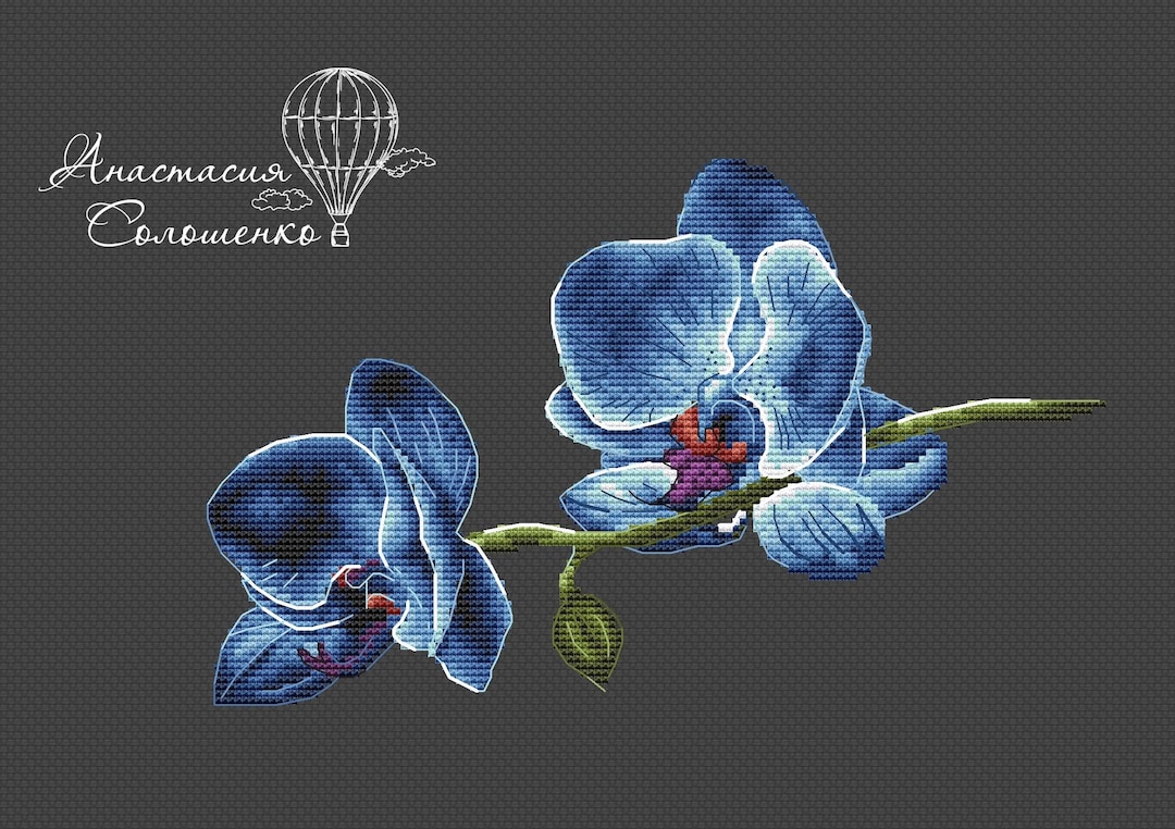 Schéma de point de croix Patron de broderie Orchidée PDF - Etsy France