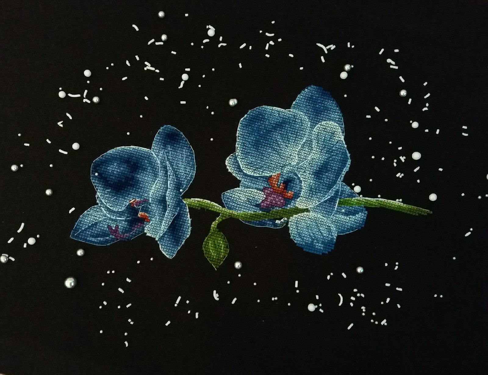 Cross-stitch Scheme Orchid Embroidery Pattern PDF - Etsy