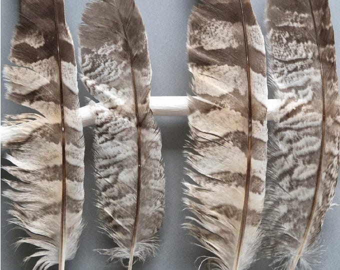 Naturally Molted Large Feathers. - Etsy Canada