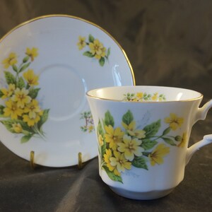 Springfield Fine Bone China Cup & Saucer Flower of the Month FEBRUARY ...