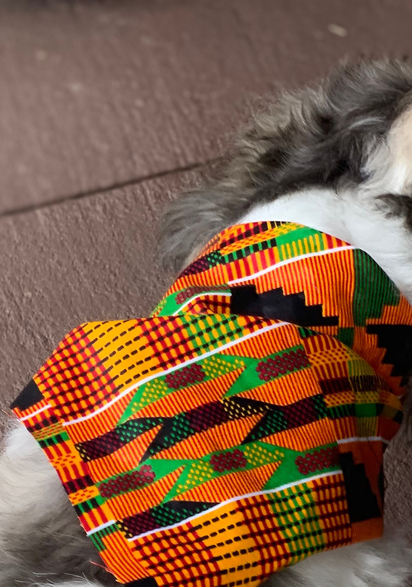 African Dog Bandana, Ankara Pet, Pet Bandanas, Pet Bandana, Pet ...