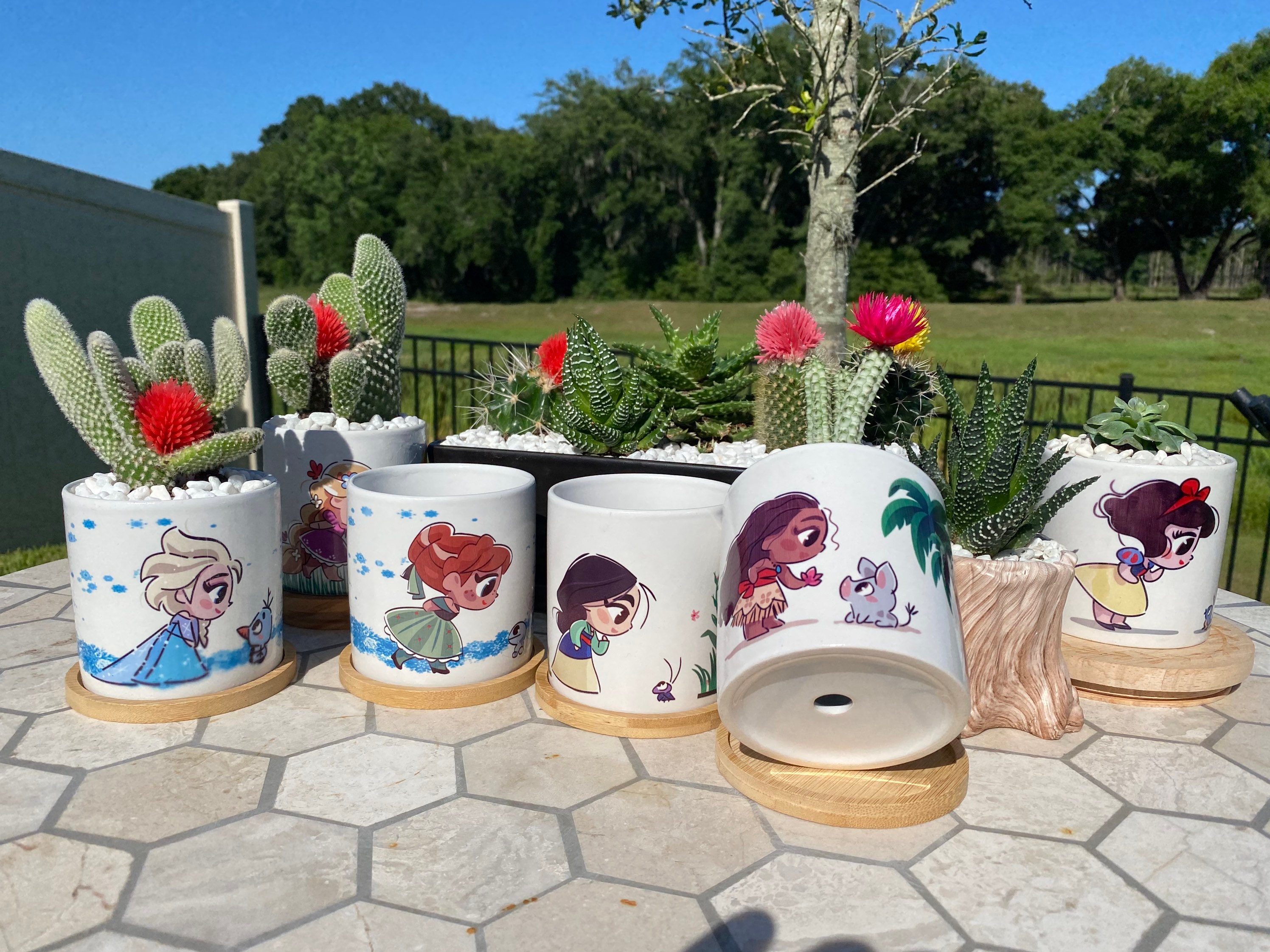 Jane tarzan Succulent Pot Disney Princesses Succulents Pots - Etsy