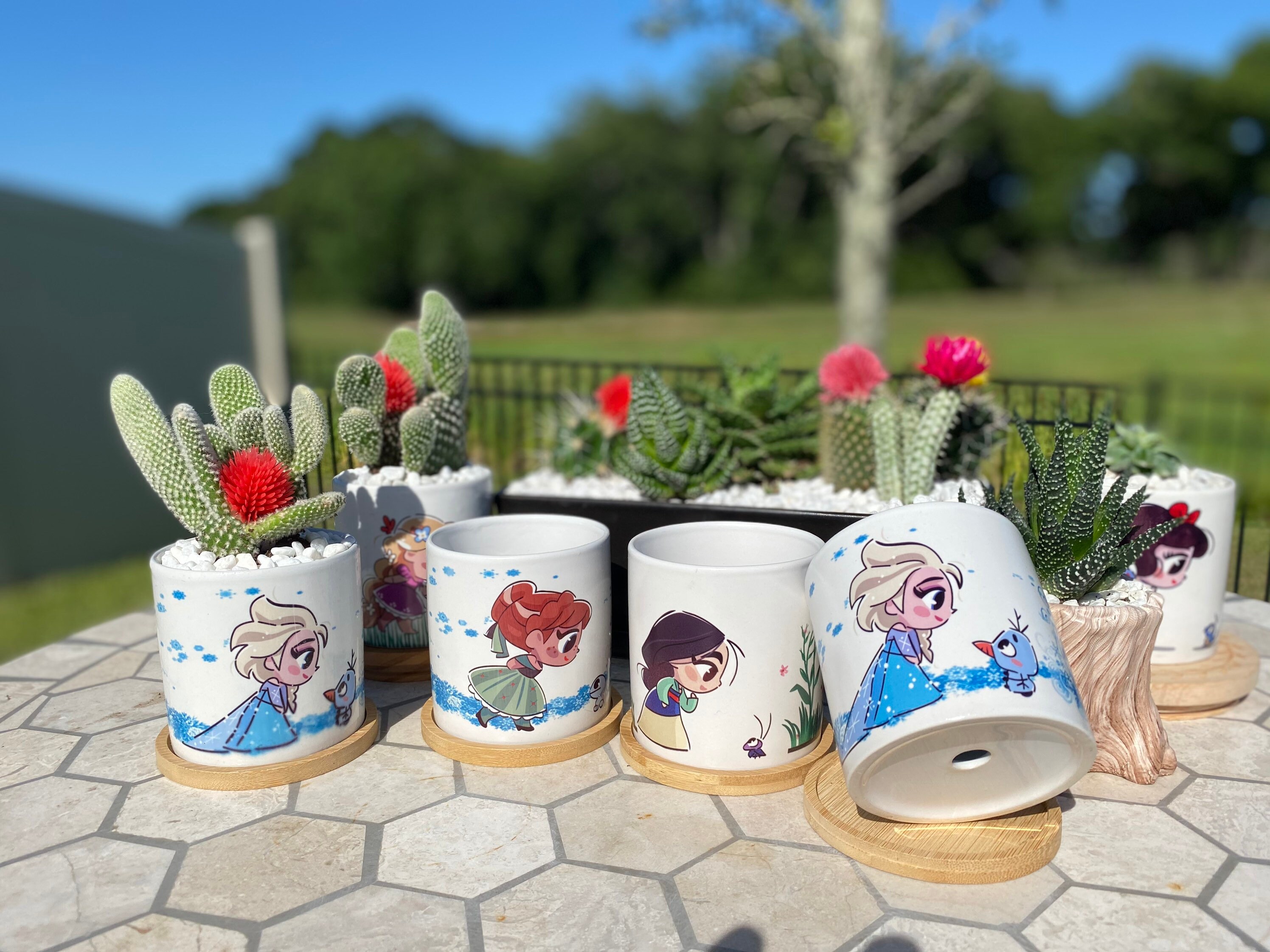 Jane tarzan Succulent Pot Disney Princesses Succulents Pots - Etsy