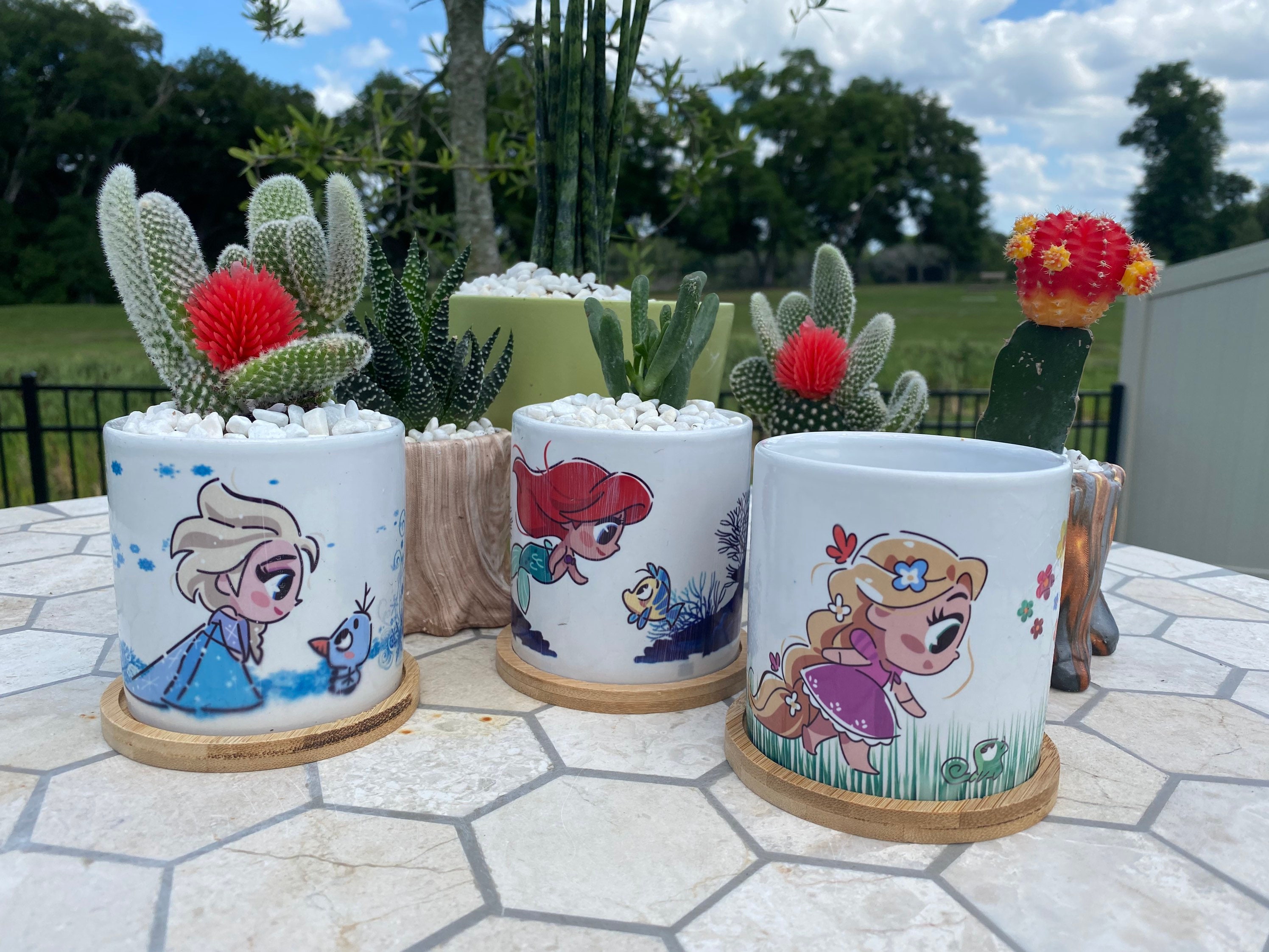 Jane tarzan Succulent Pot Disney Princesses Succulents Pots - Etsy