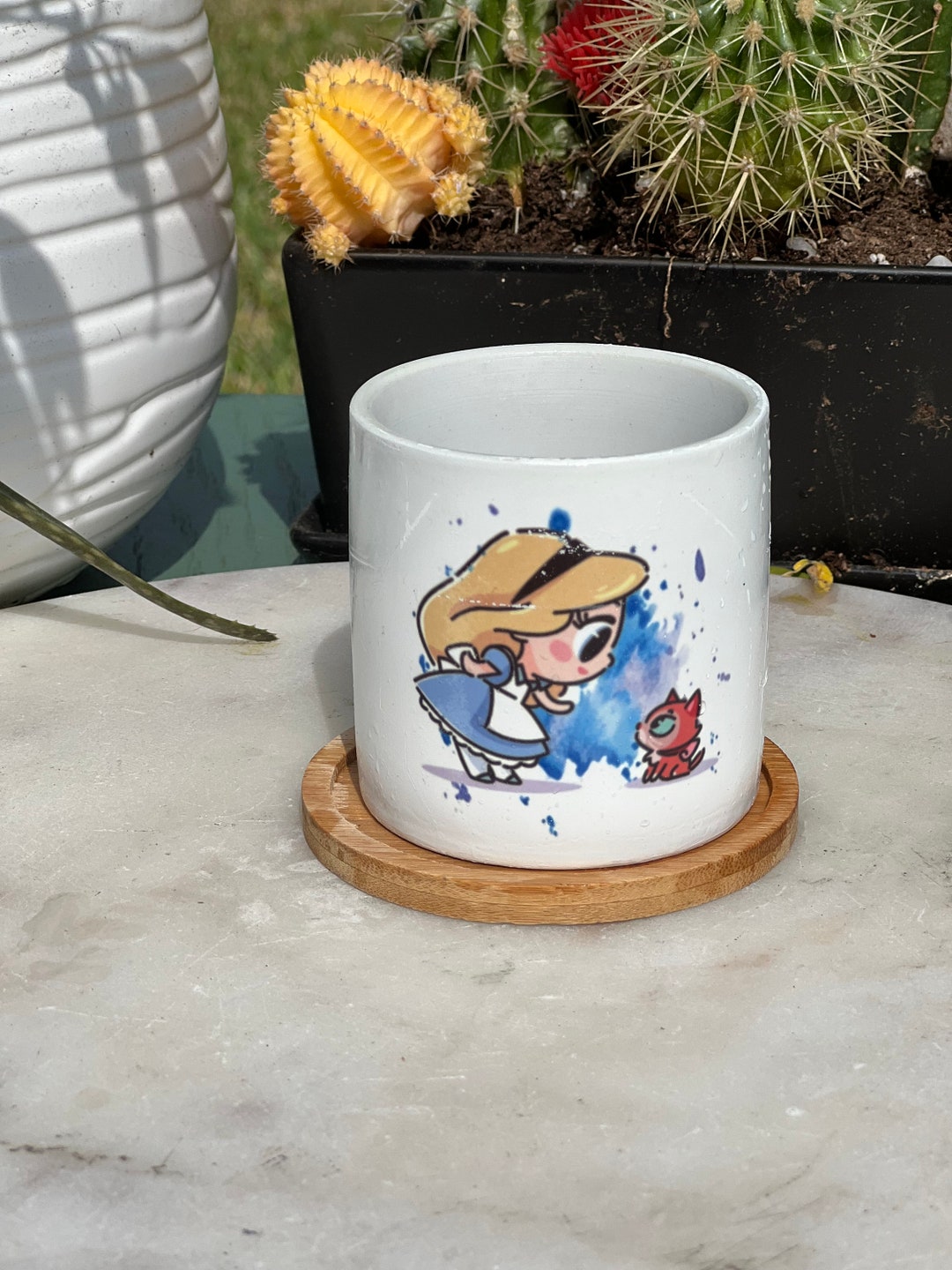 Alice and Cheshire (alice in Wonderland) Succulent Pot, Disney ...