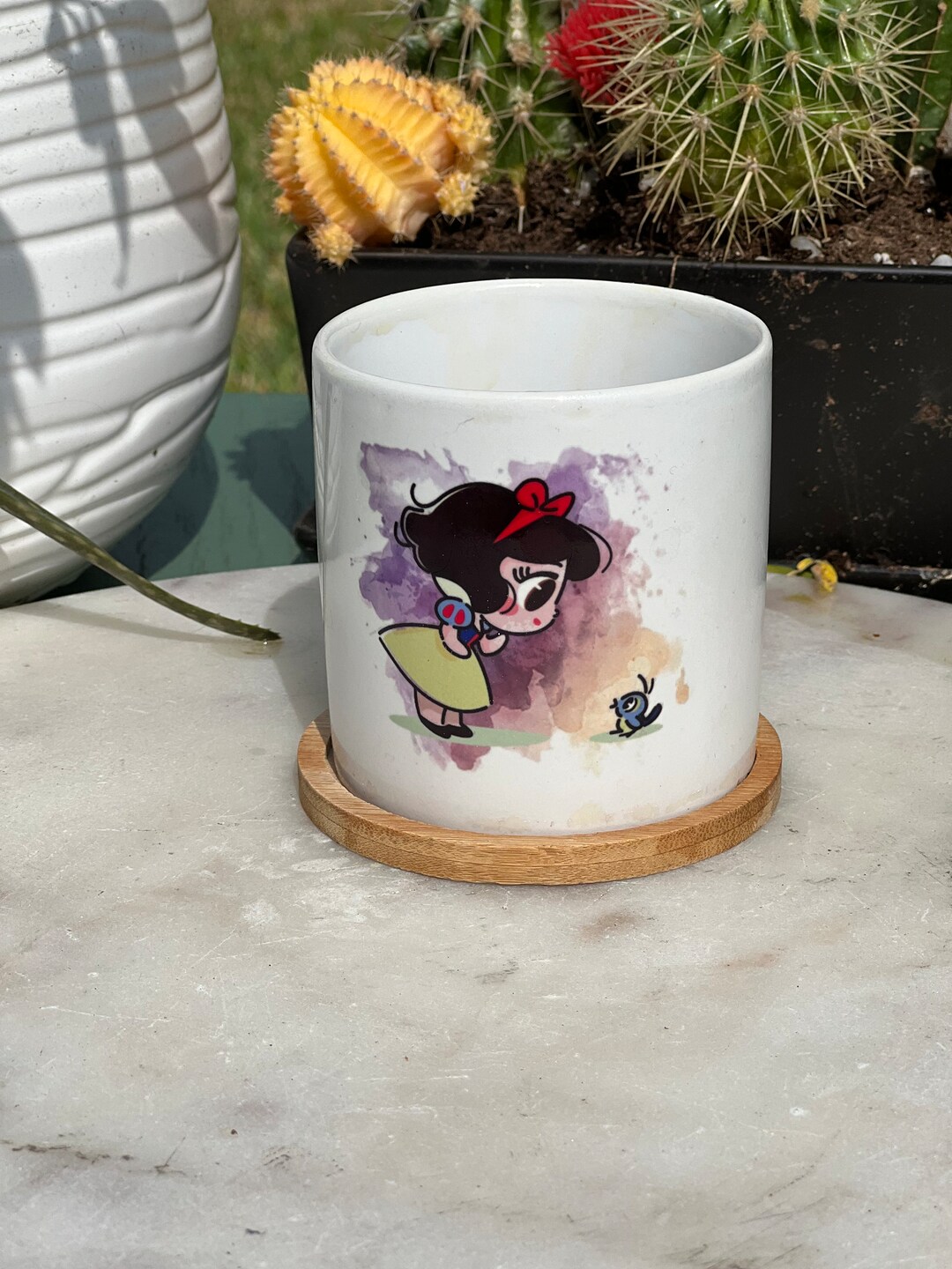 Snow White Succulent Pot, Disney Princesses Succulents Pots - Etsy