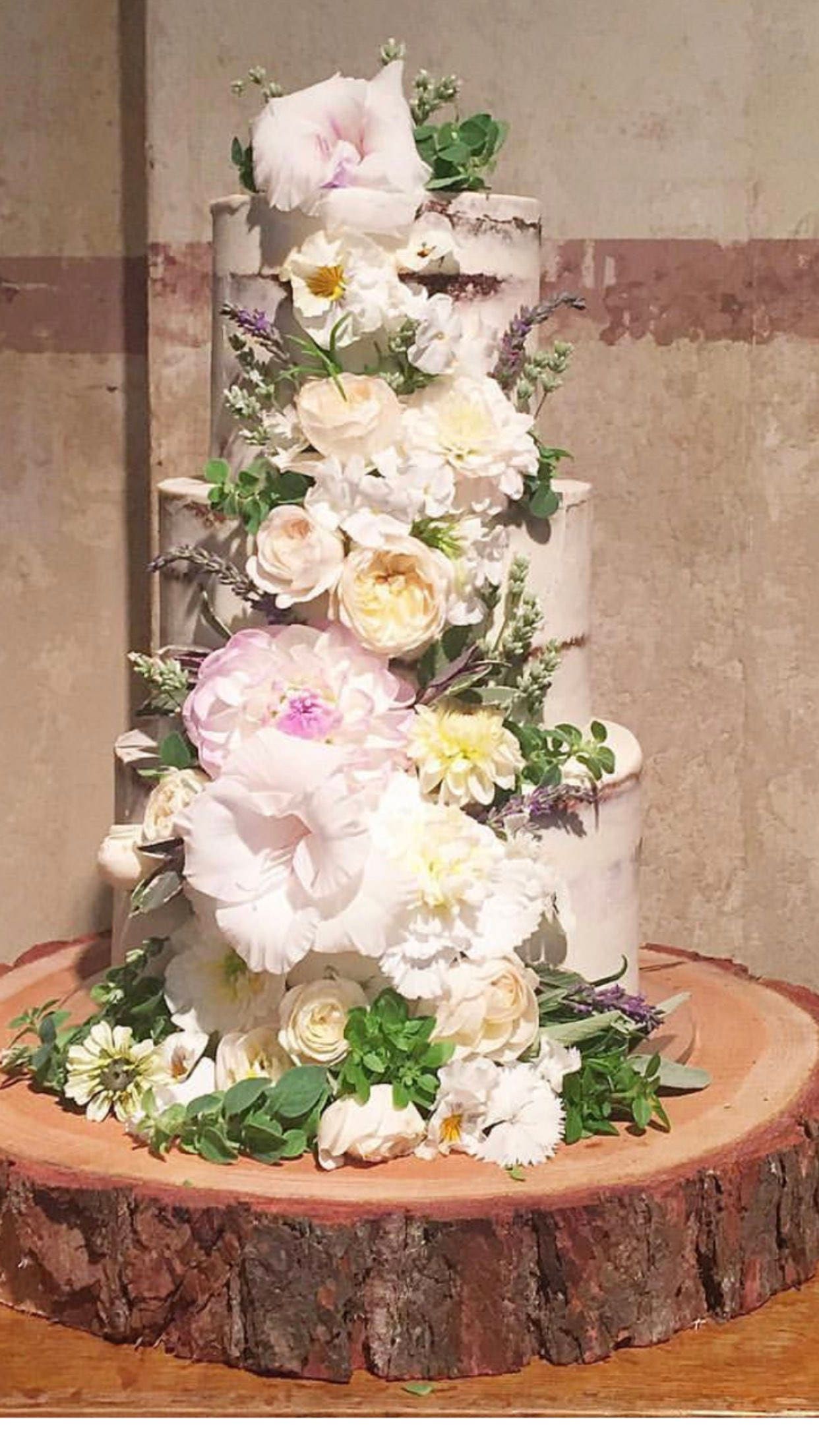 Natural Log Slice Tree Shabby Chic Table Centre Piece Cake Stand/cheese ...