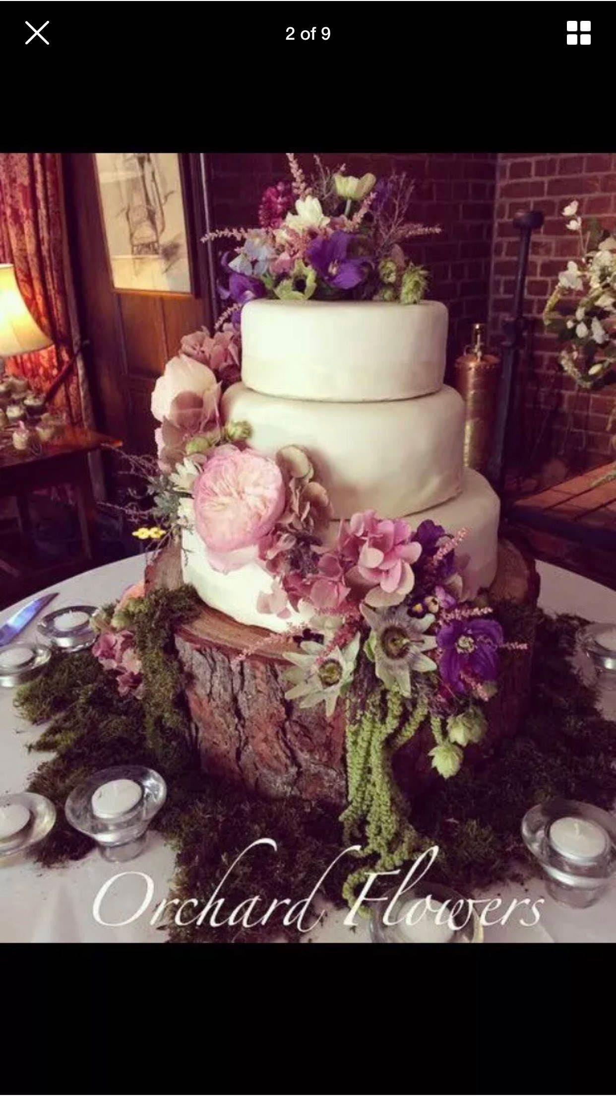 Natural Log Slice Tree Shabby Chic Table Centre Piece Cake Stand/cheese ...